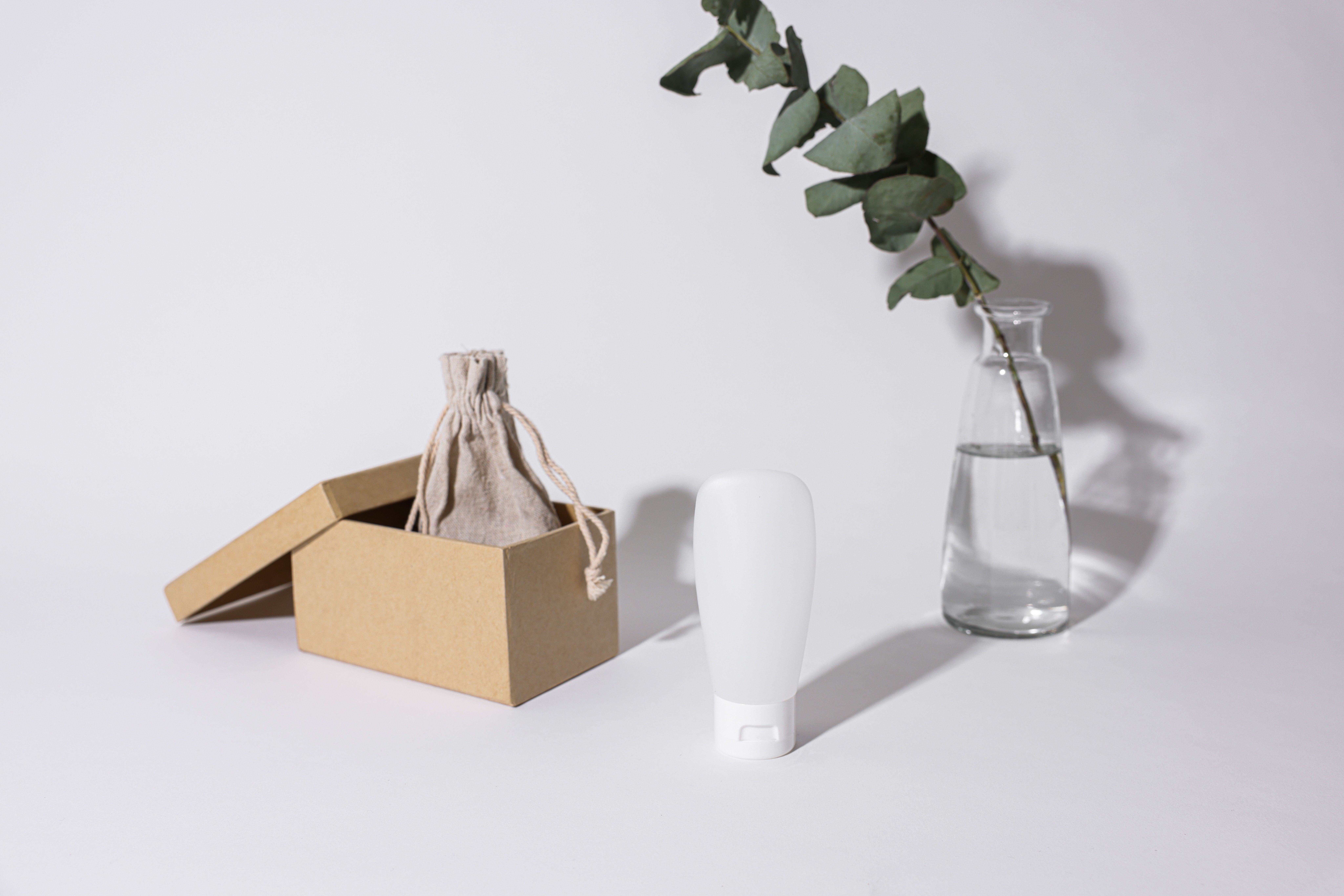 Row Packaging and an Eucalyptus Branch against a White Background ...