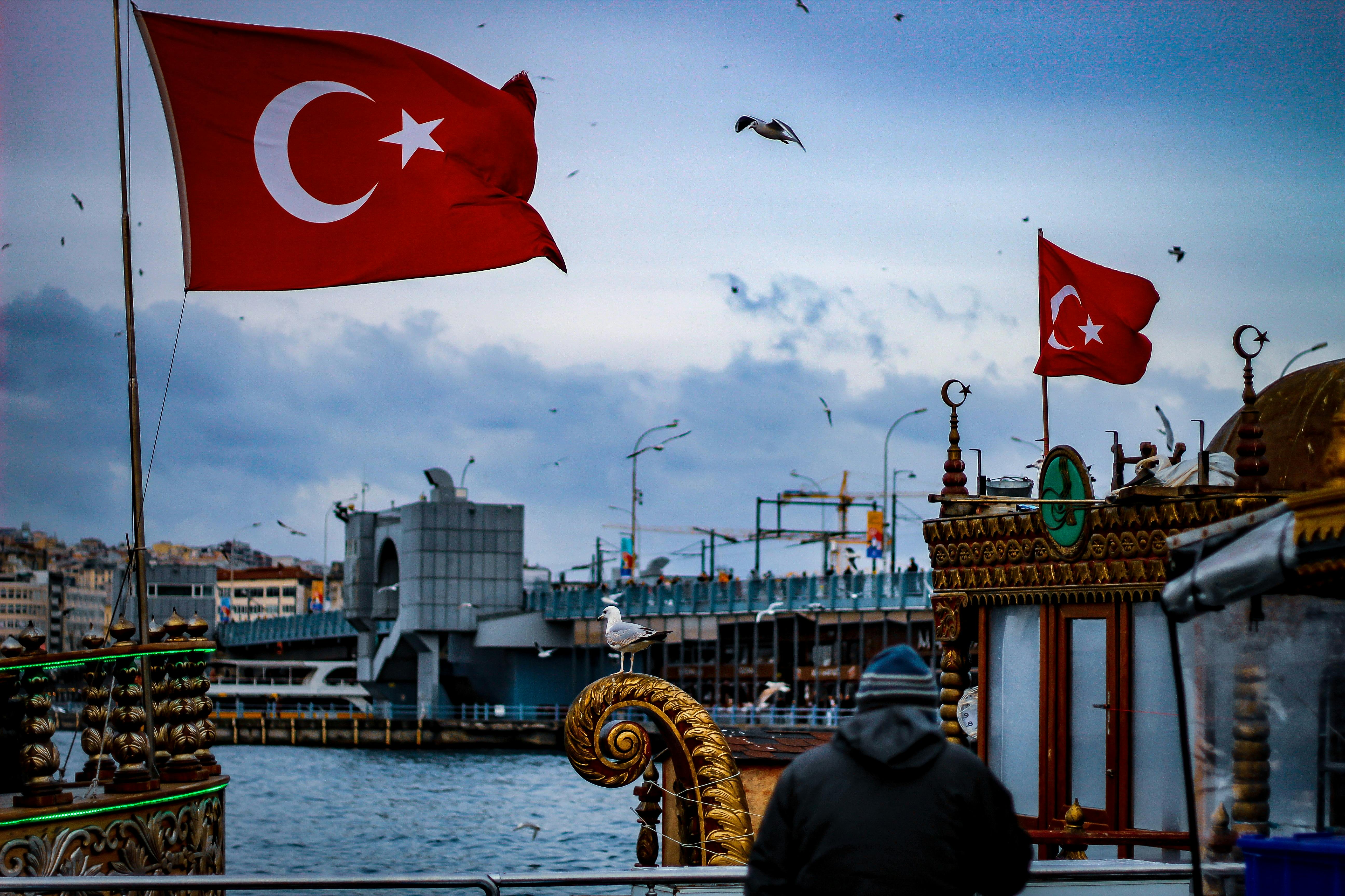 Tourist Boats Docked in Turkish Harbor · Free Stock Photo