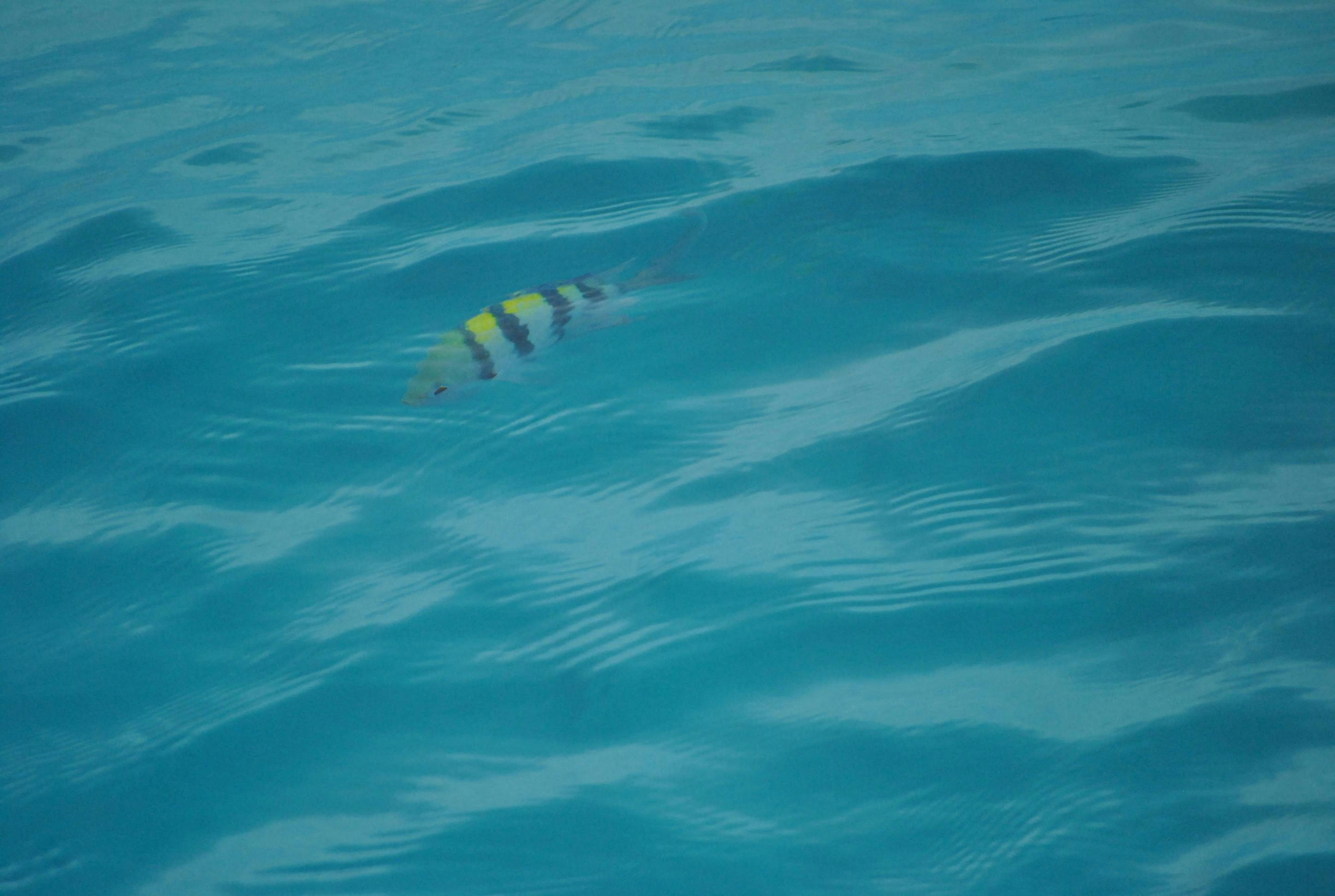 Tim Simons - Photography