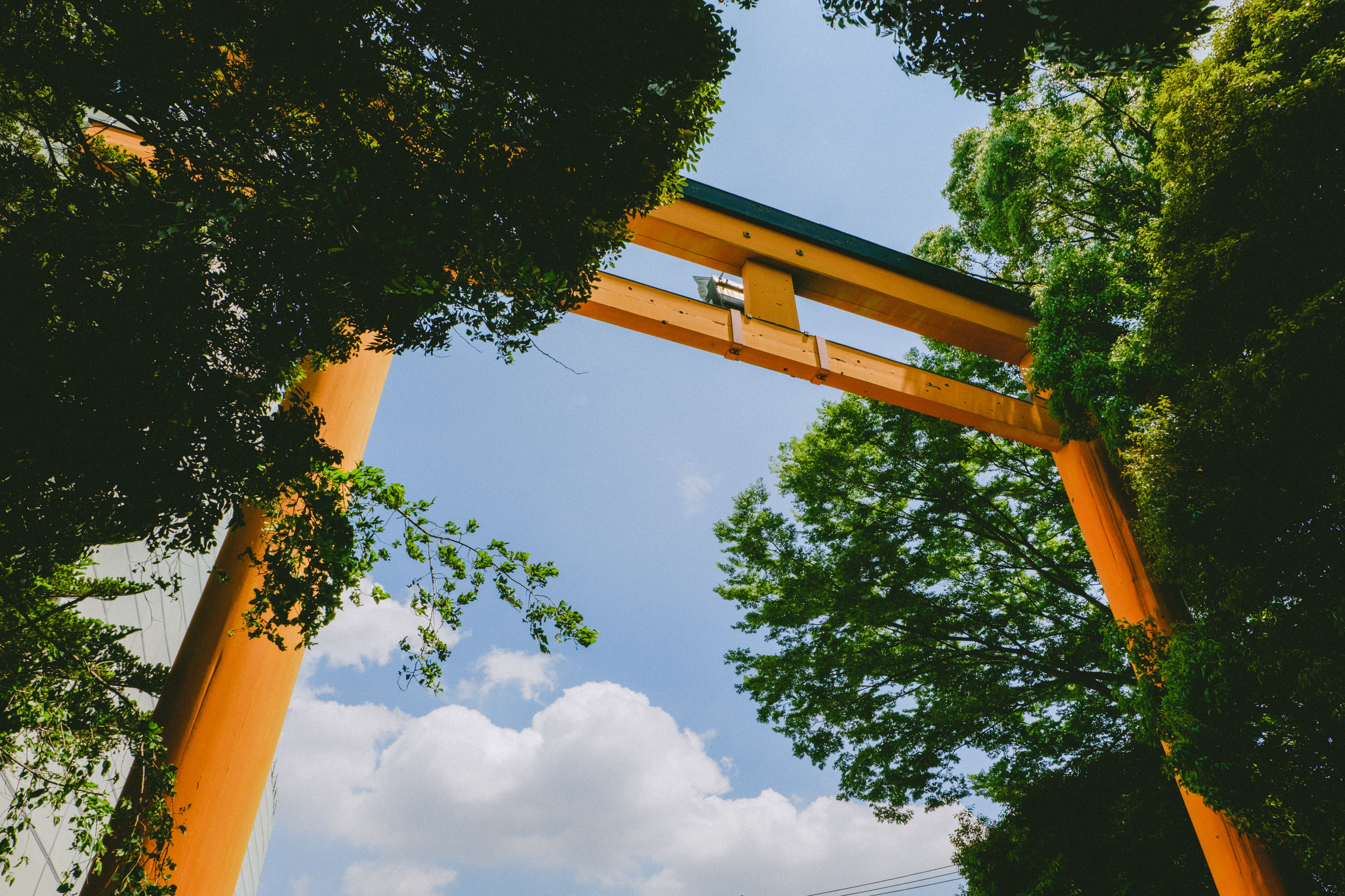 Low Angle View of a Torii Gate and Trees · Free Stock Photo