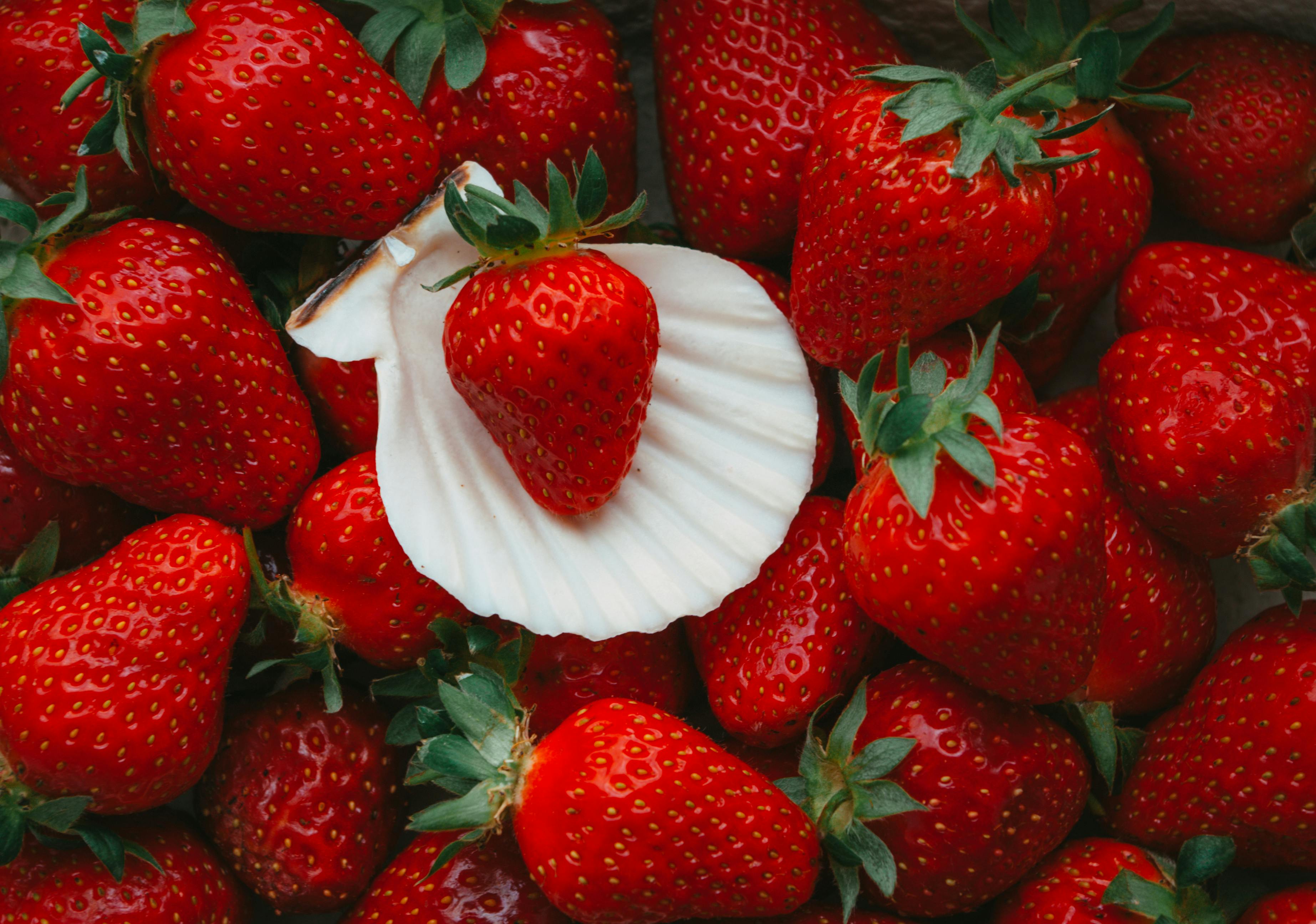 Bivalve Shell on top of Strawberries · Free Stock Photo