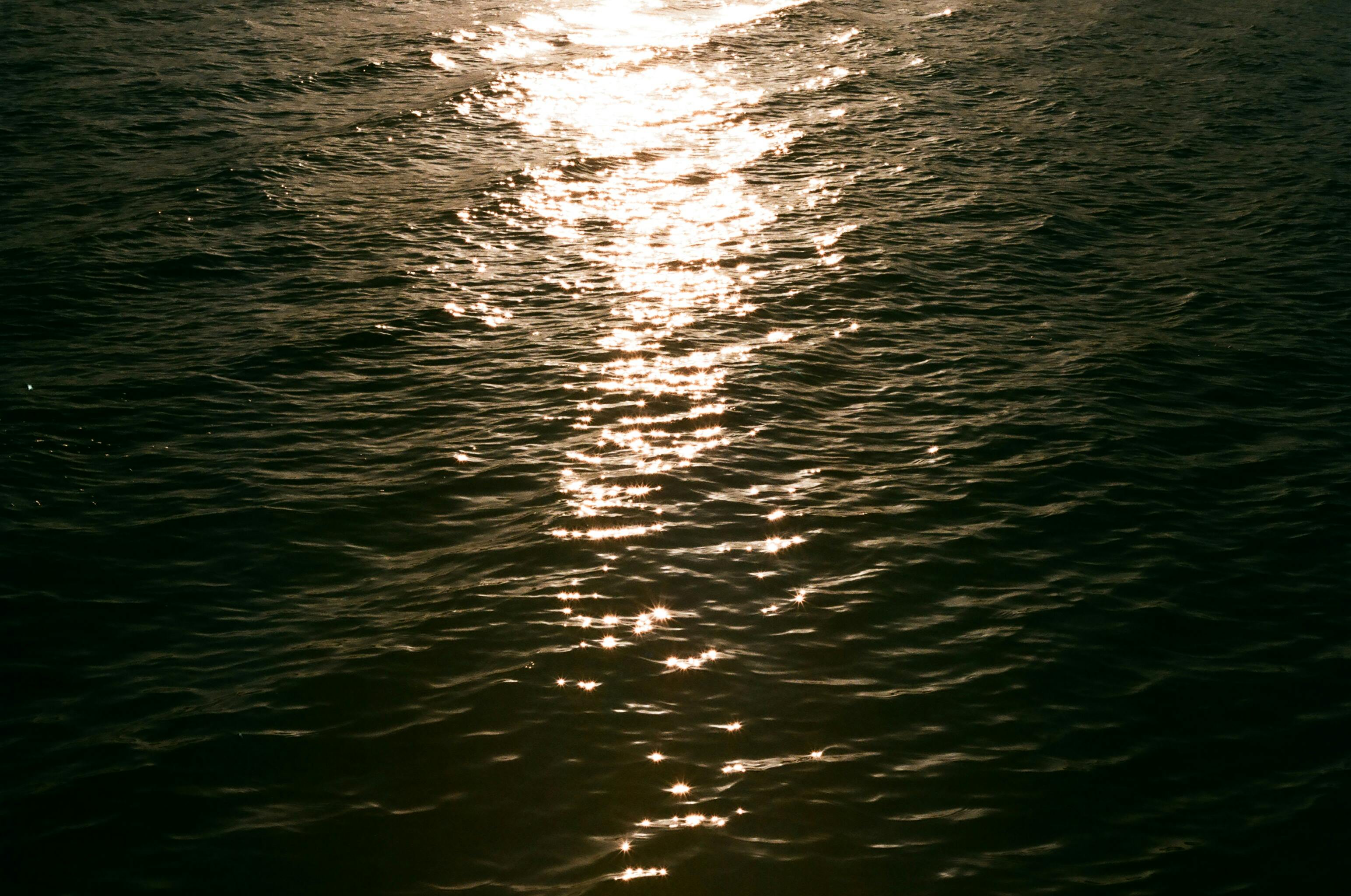 Light Reflection on Water · Free Stock Photo