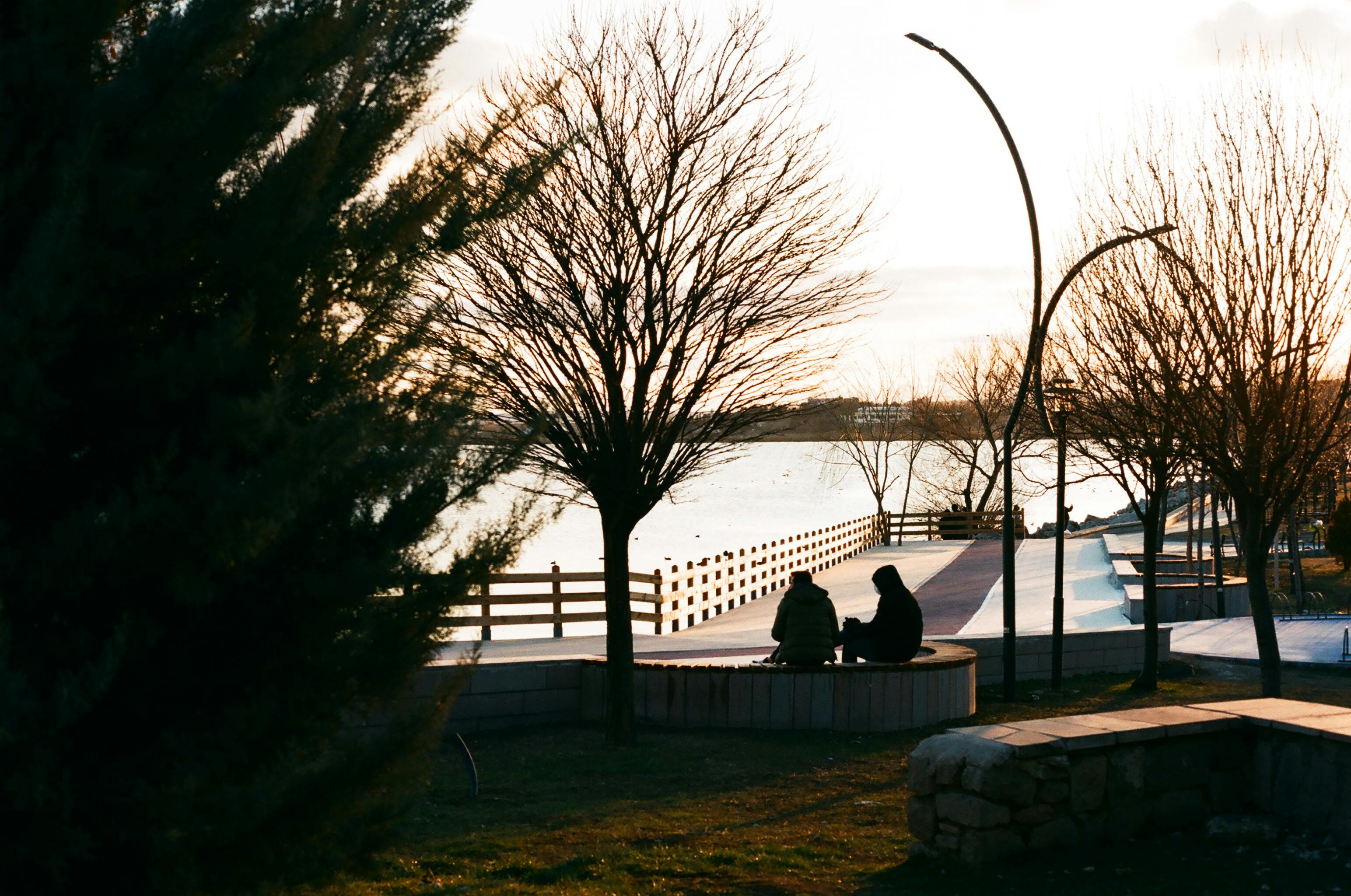 Silhouette of Two People in a Park · Free Stock Photo