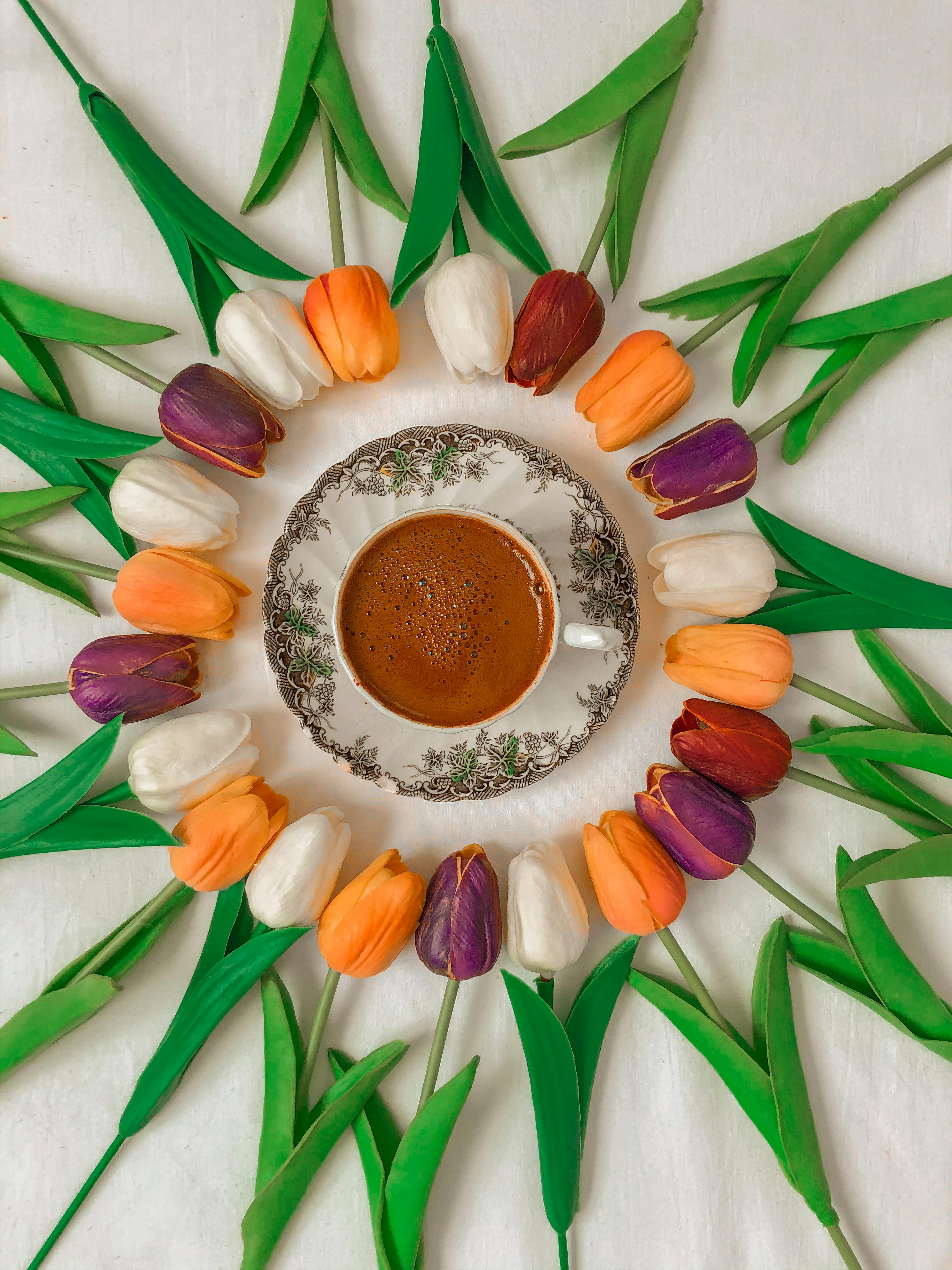 Chocolate Tulips Around Flower Tulips · Free Stock Photo