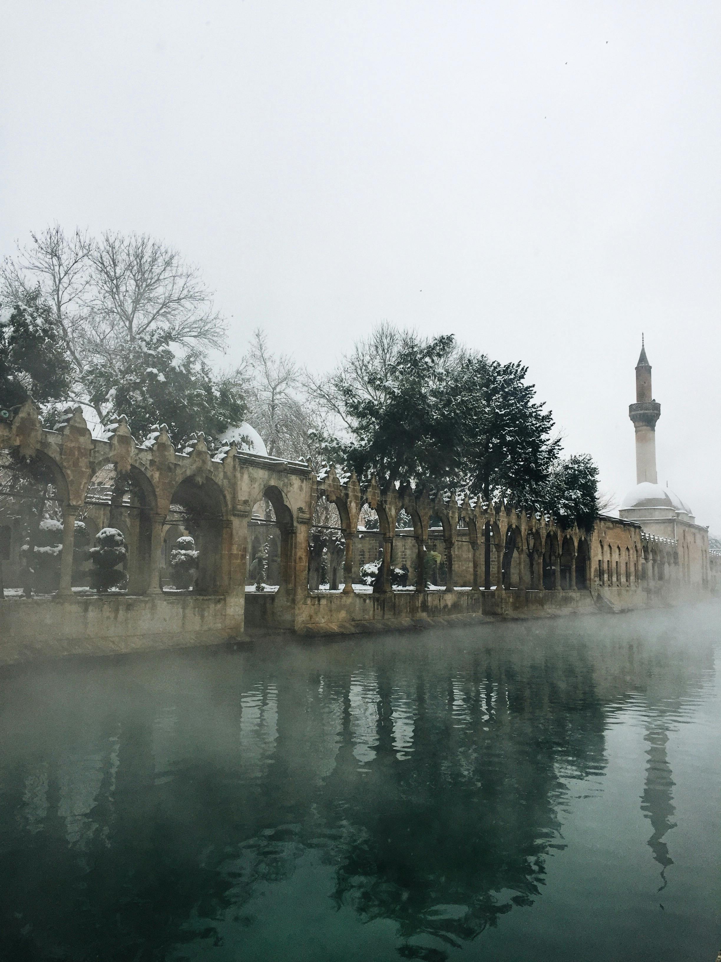 Clean Tower Photos, Download The BEST Free Clean Tower Stock Photos ...