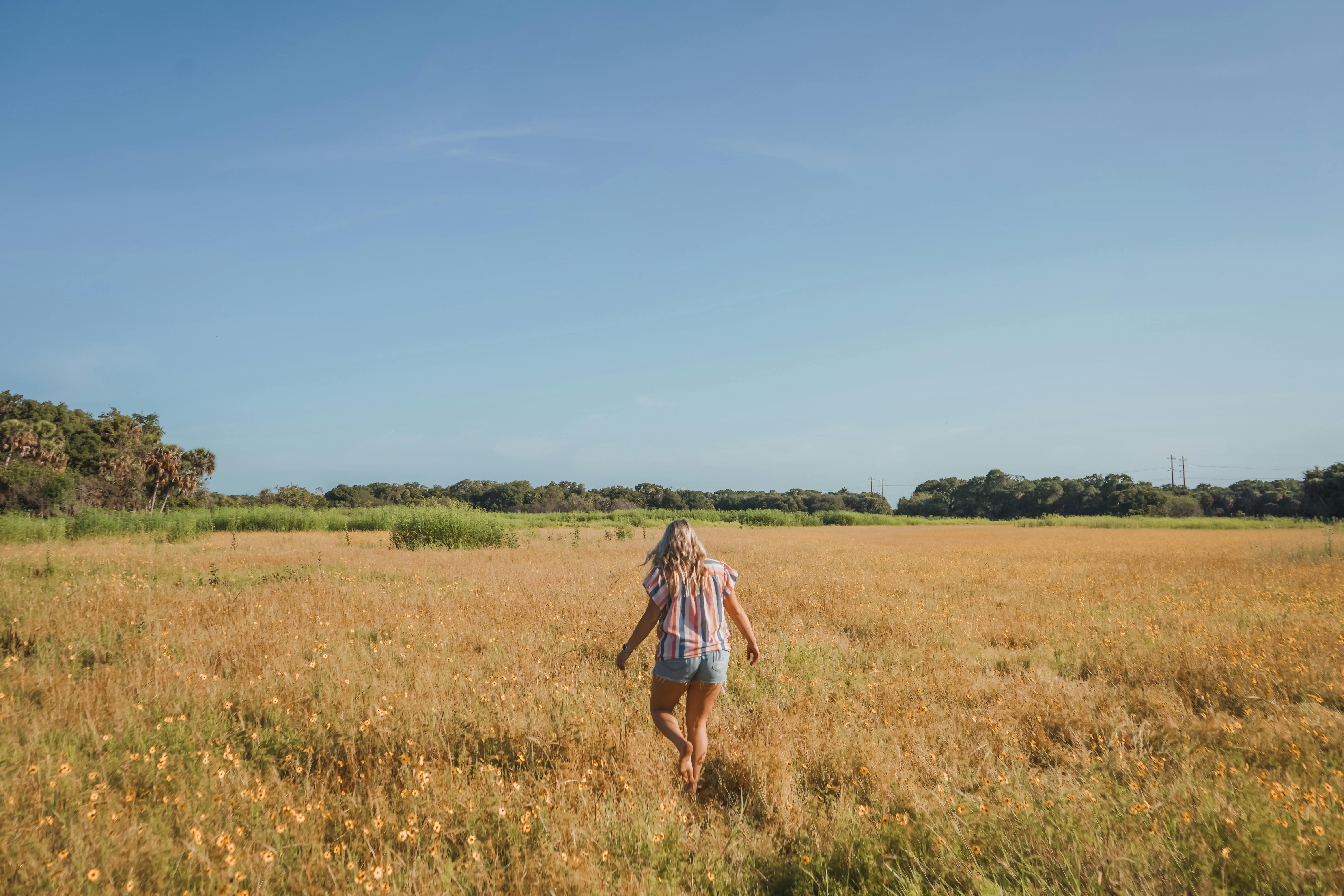 Person In The Field · Free Stock Photo