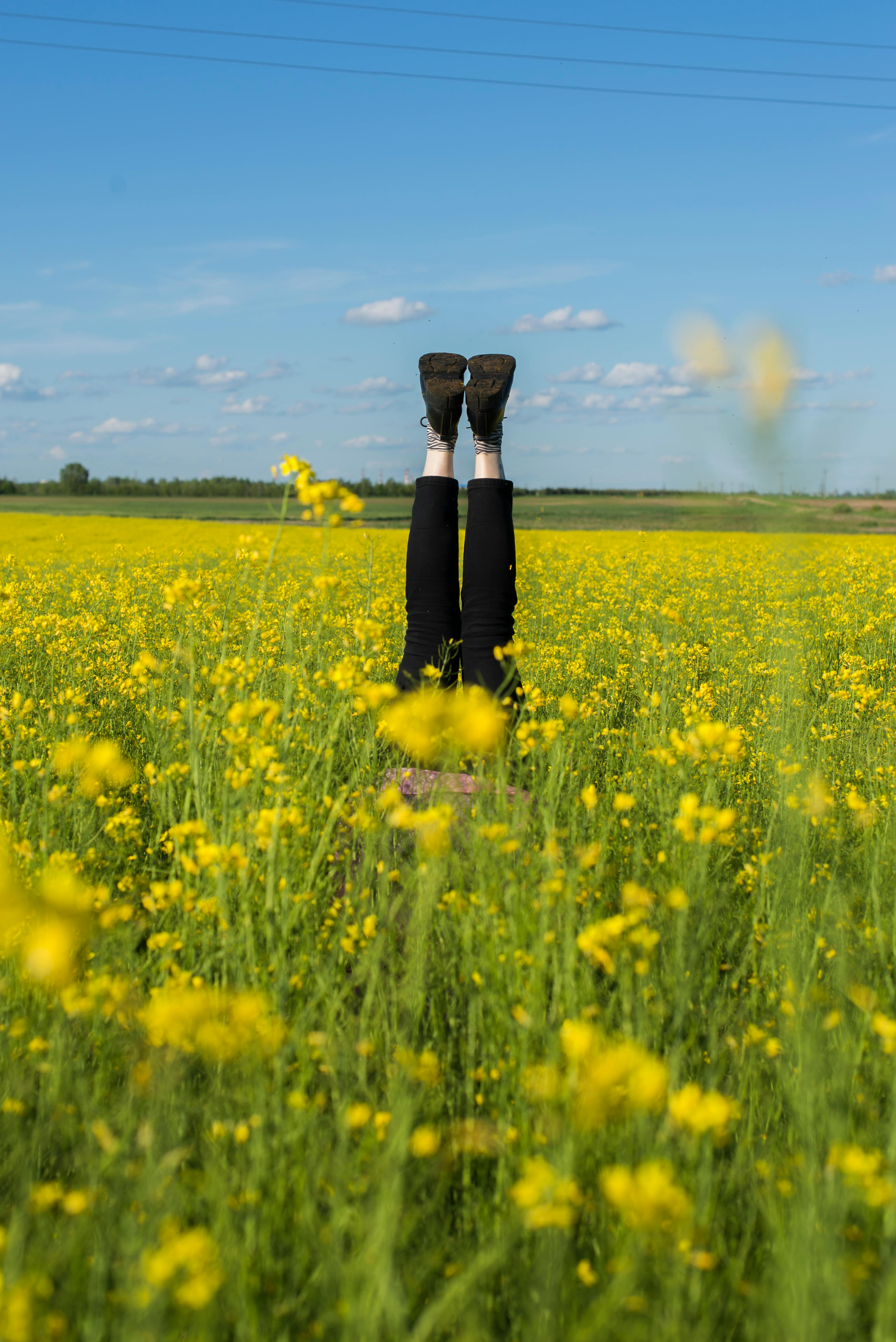Person Doing a Hand Stand at a Flower Field · Free Stock Photo