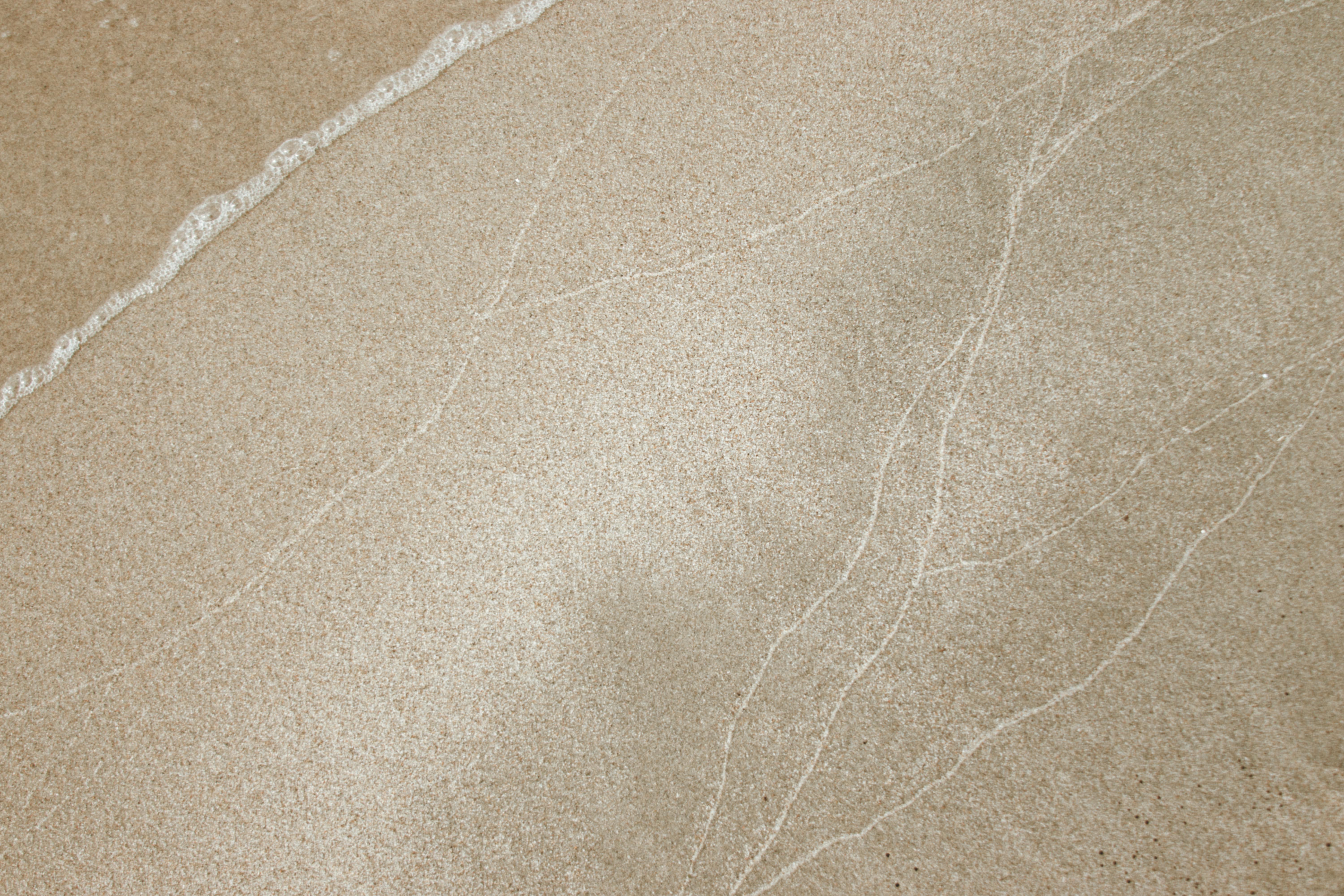 Wet Sand by the Shore · Free Stock Photo