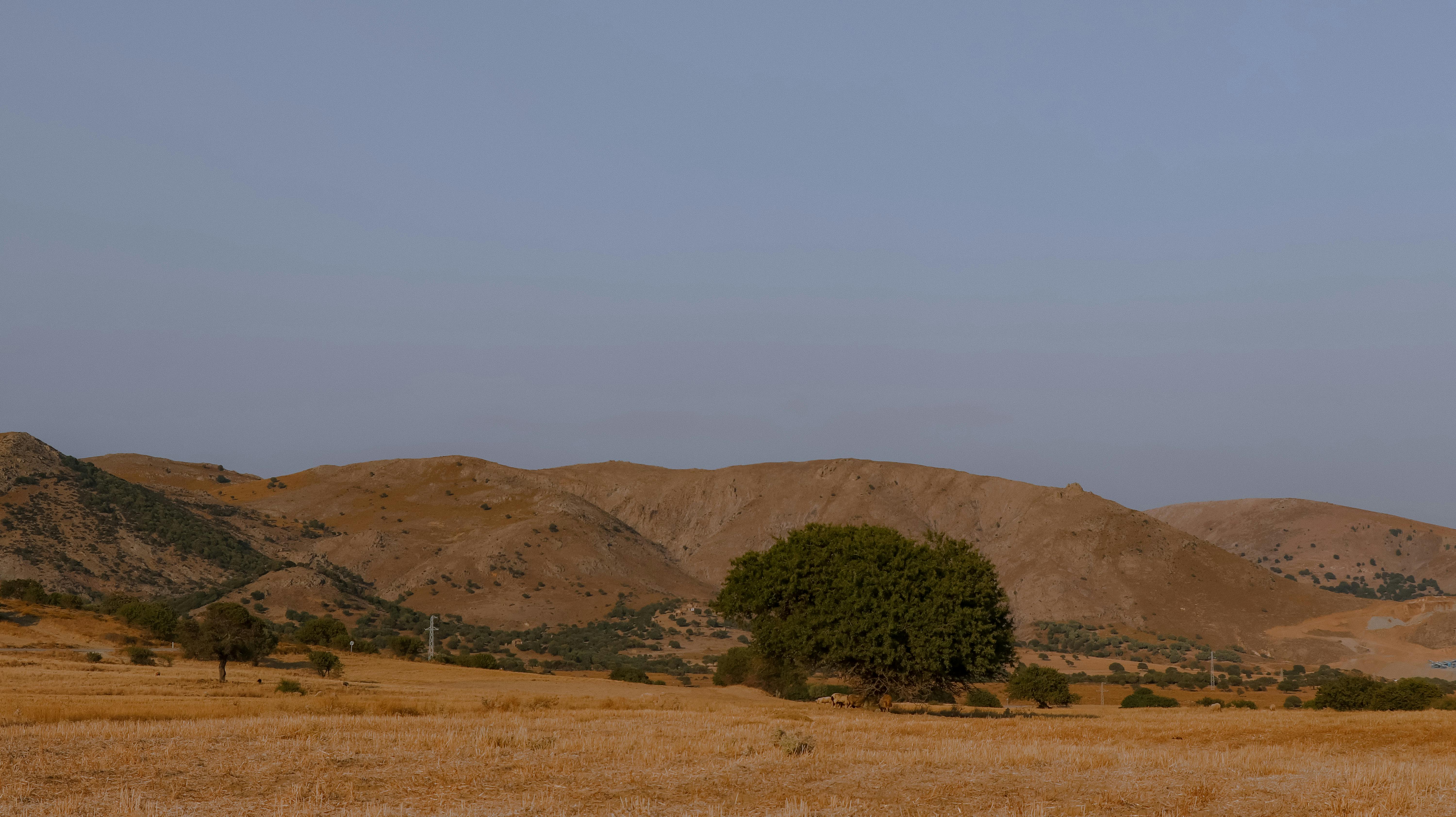 Arid Landscape with Hills · Free Stock Photo