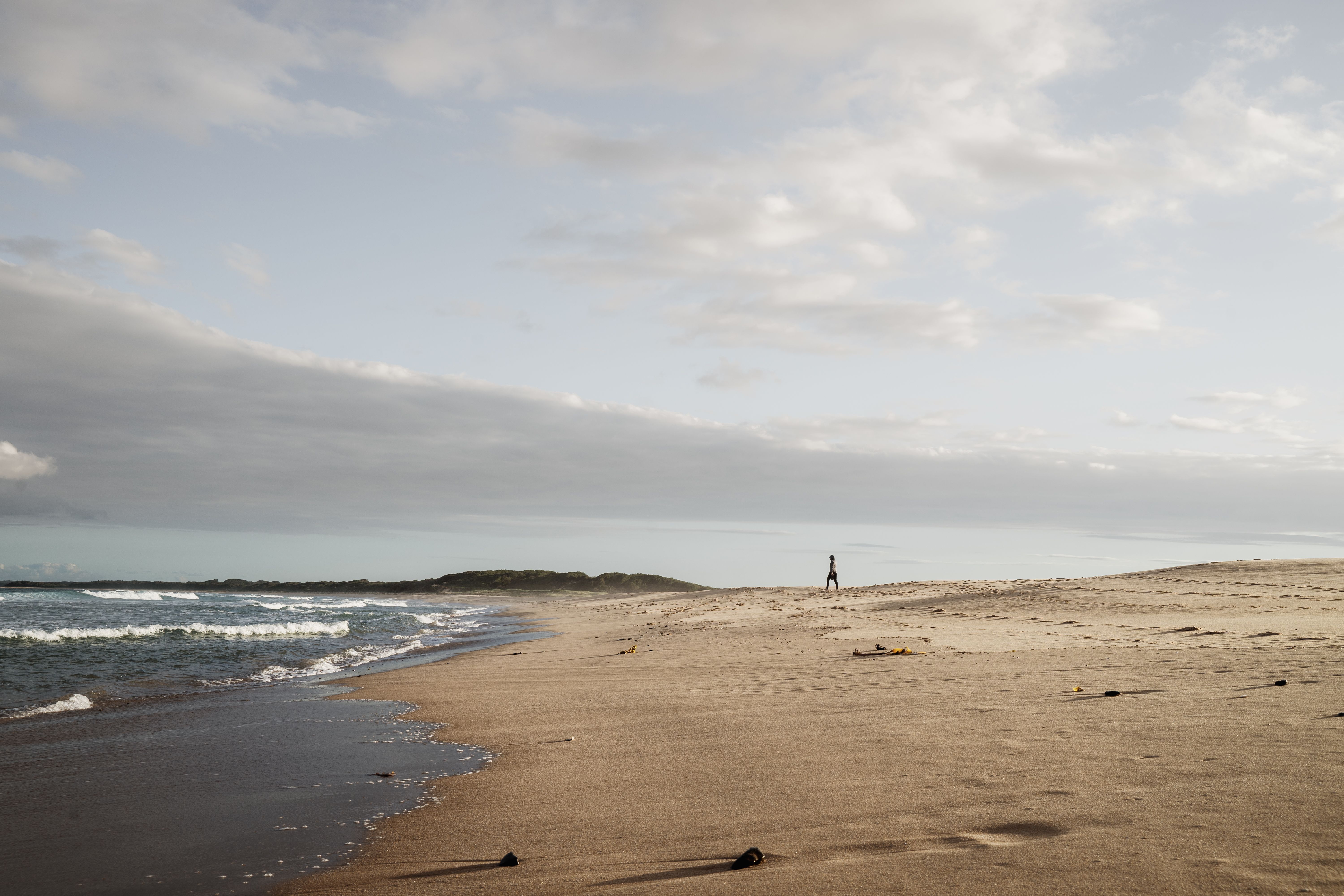Person Walking On Seashore · Free Stock Photo