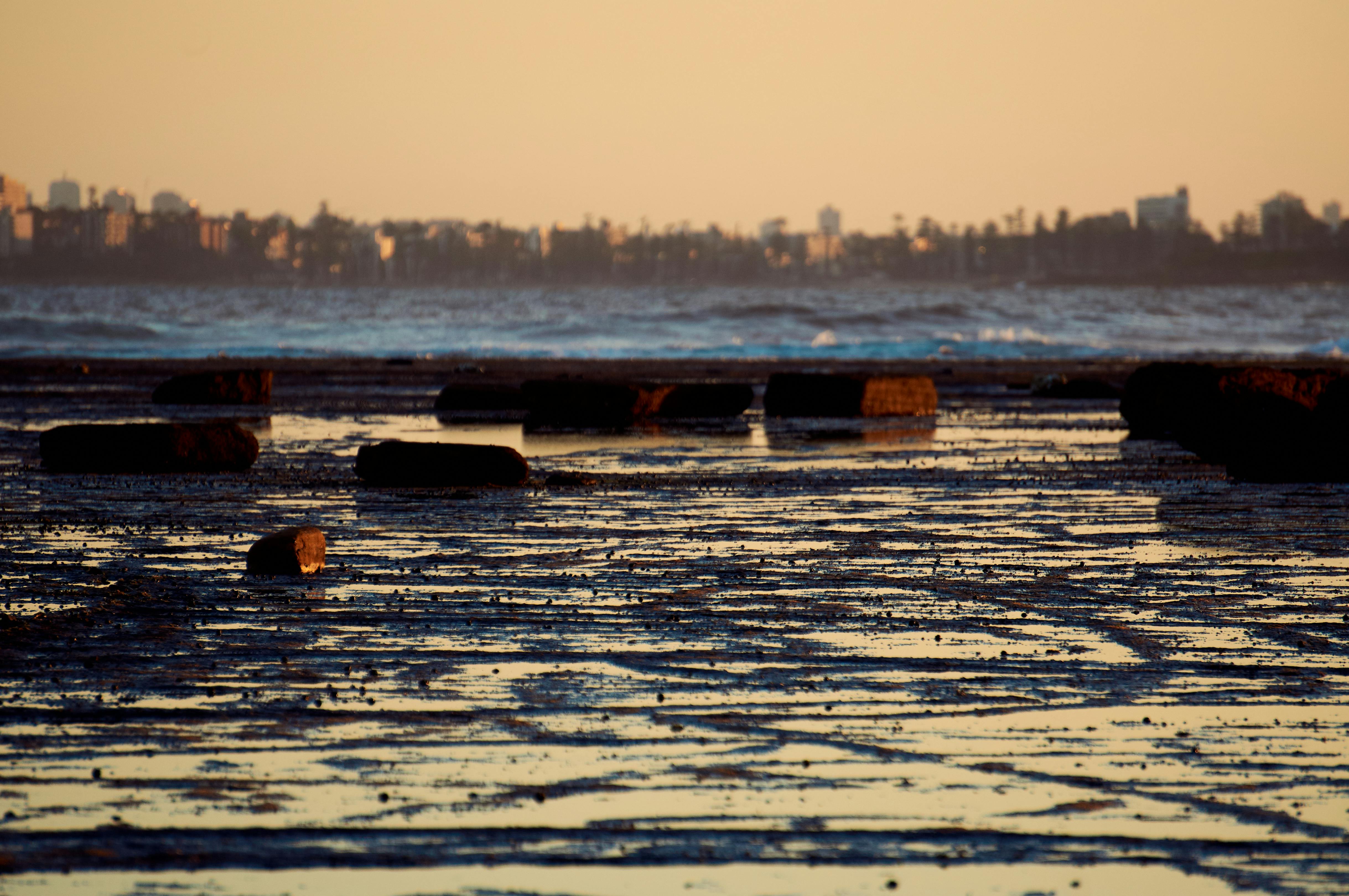 Gothic Sword in Winter · Free Stock Photo