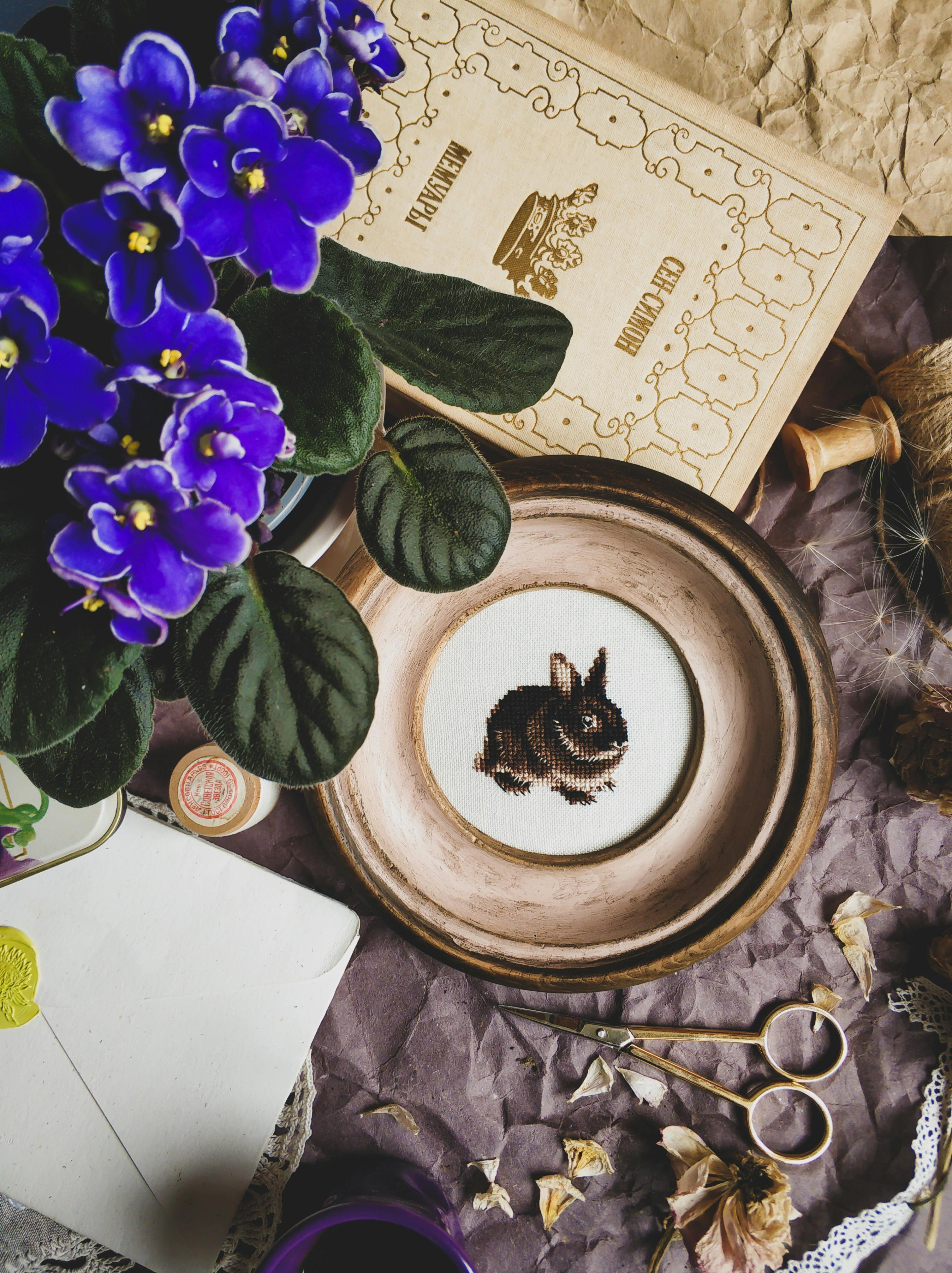 Book On Table Photos, Download The BEST Free Book On Table Stock Photos ...