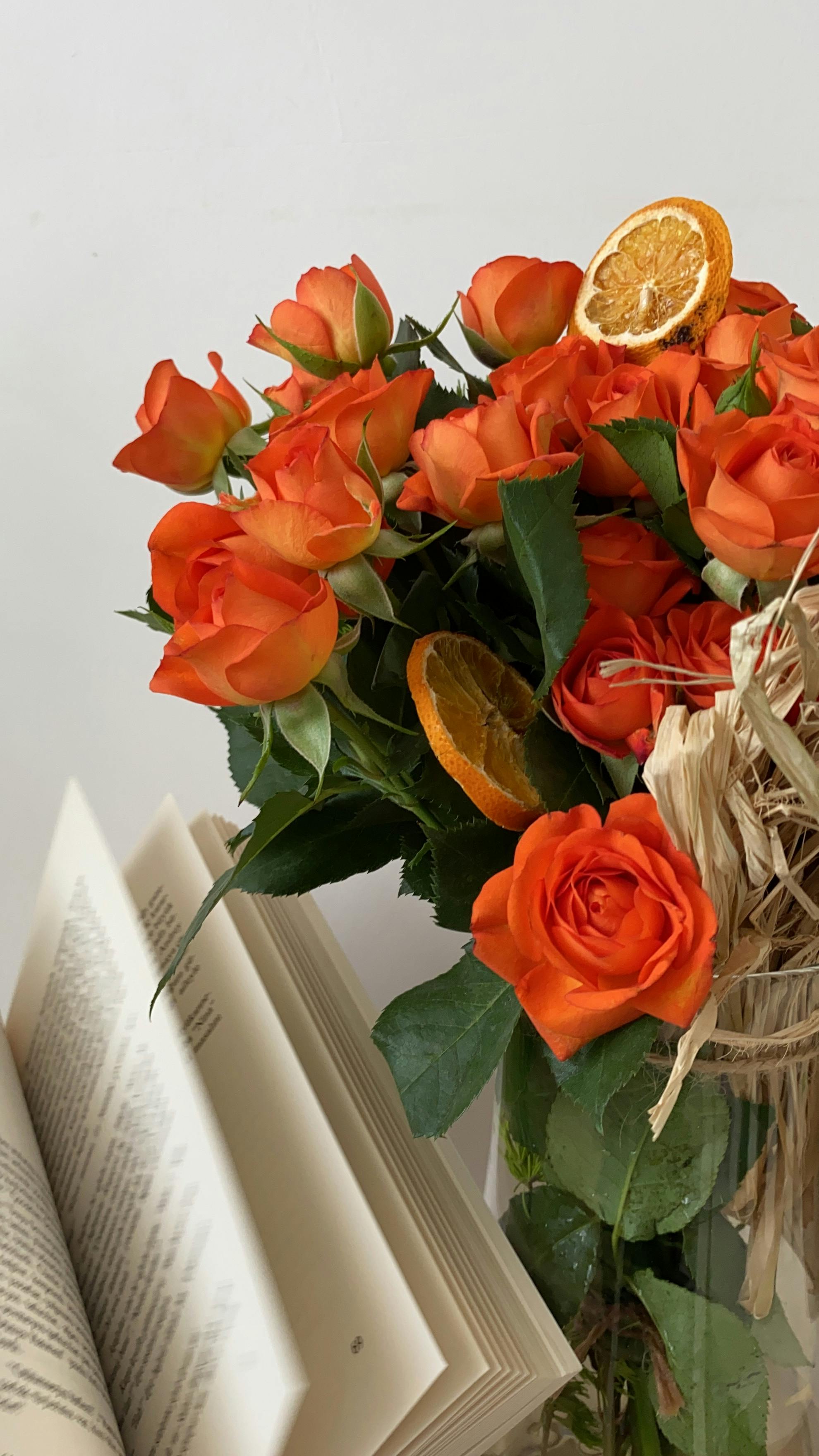 Orange Pages Photos, Download The BEST Free Orange Pages Stock Photos ...