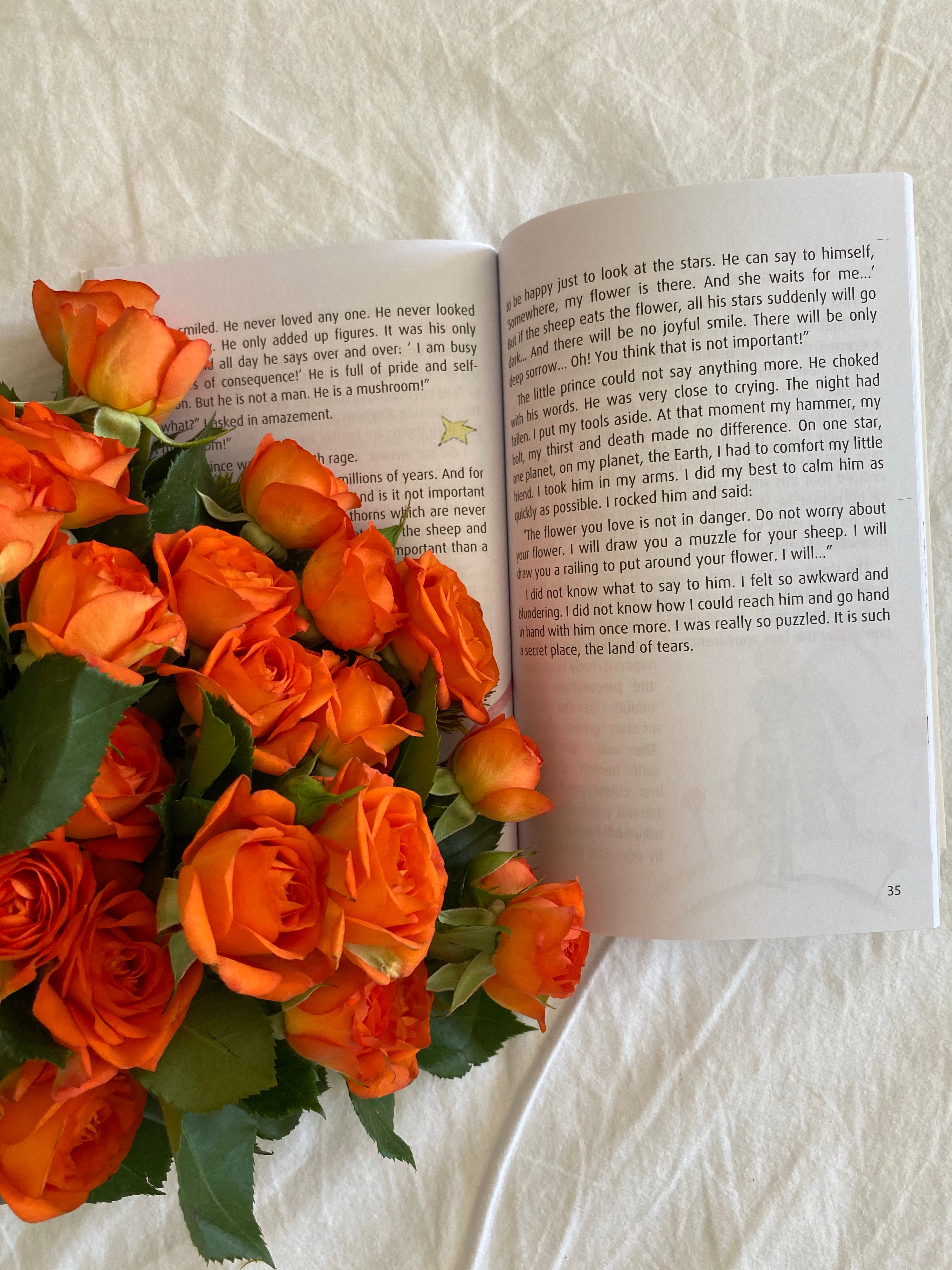 Bouquet of Orange Roses near a Book · Free Stock Photo