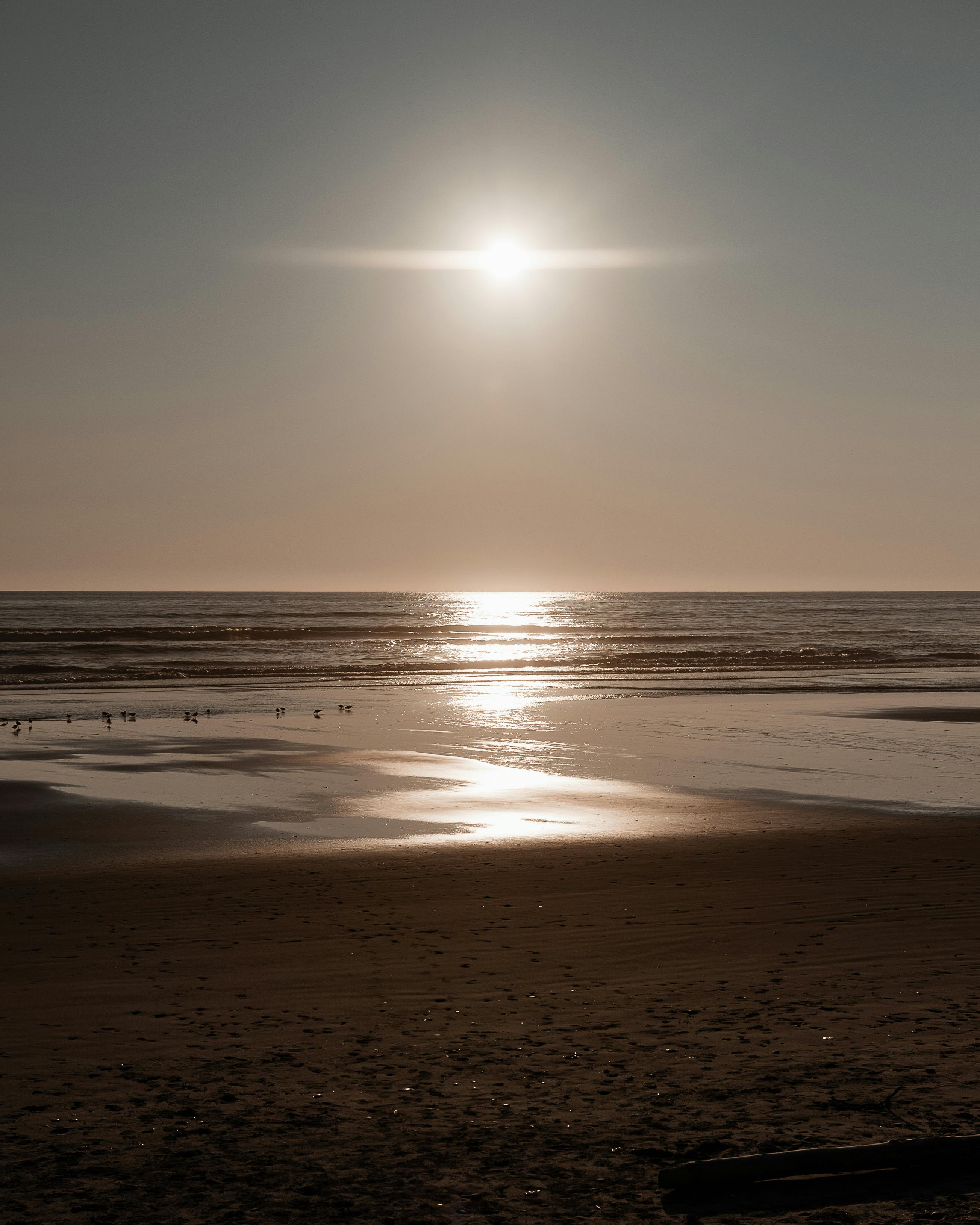 Photo of Sea During Daytime · Free Stock Photo
