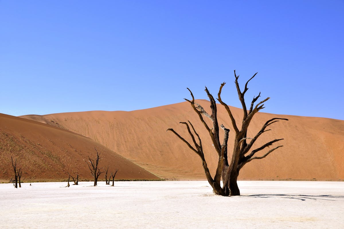 Namibia Wallpaper Photos, Download The BEST Free Namibia Wallpaper ...