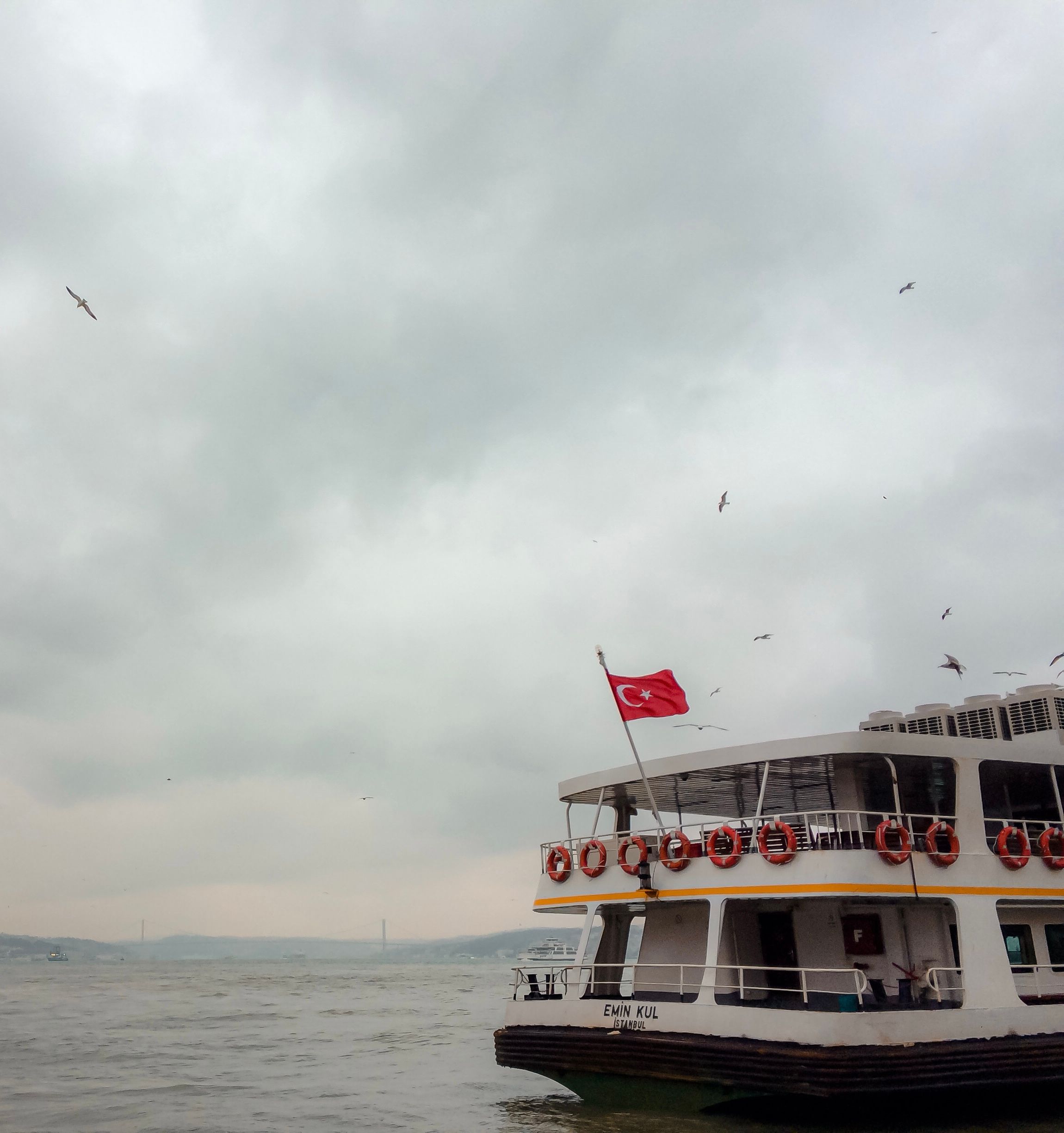 Foto de stock gratuita sobre agua, baraja, barca, barco, ferry ...