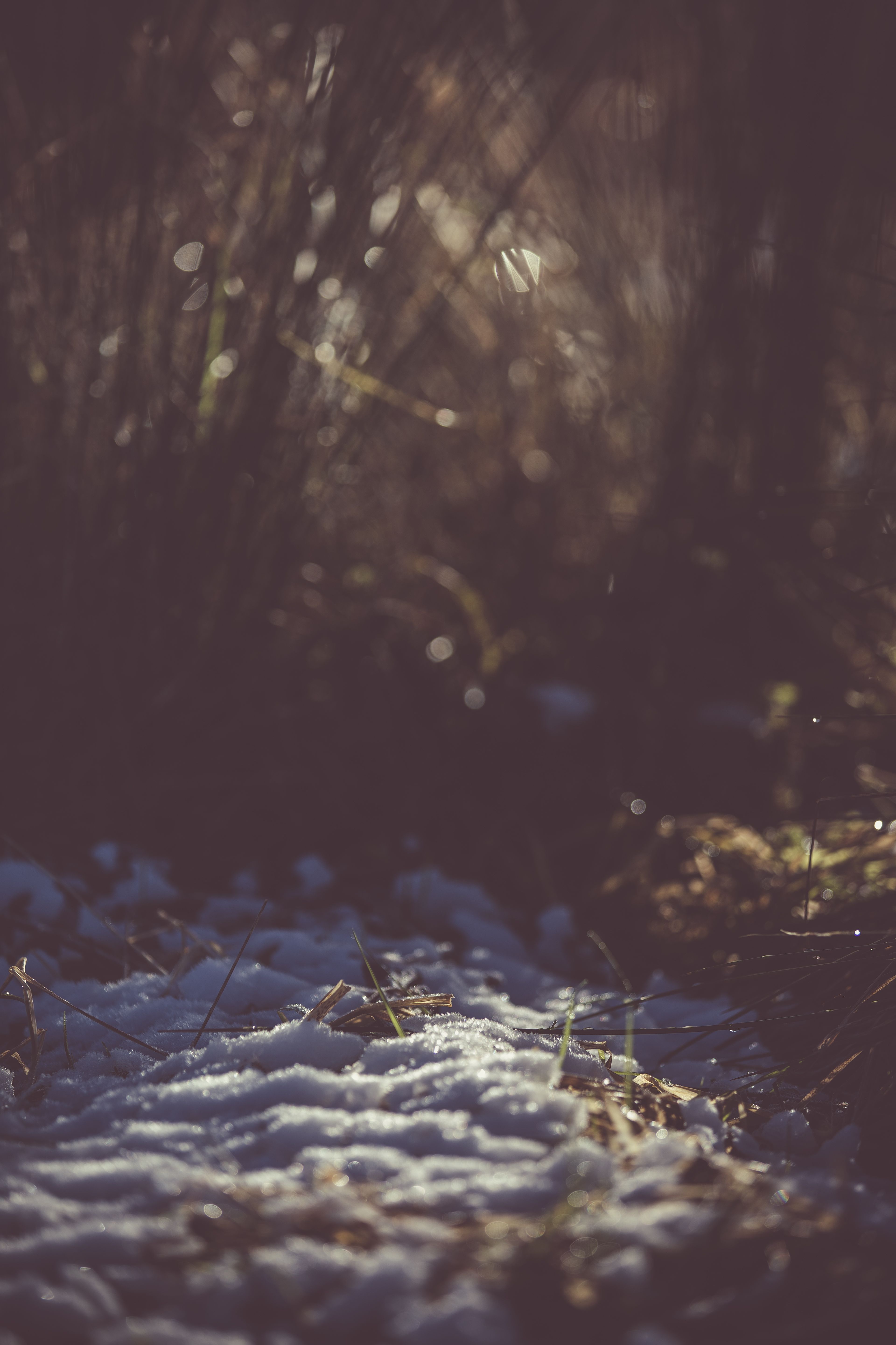 Snow On Ground · Free Stock Photo