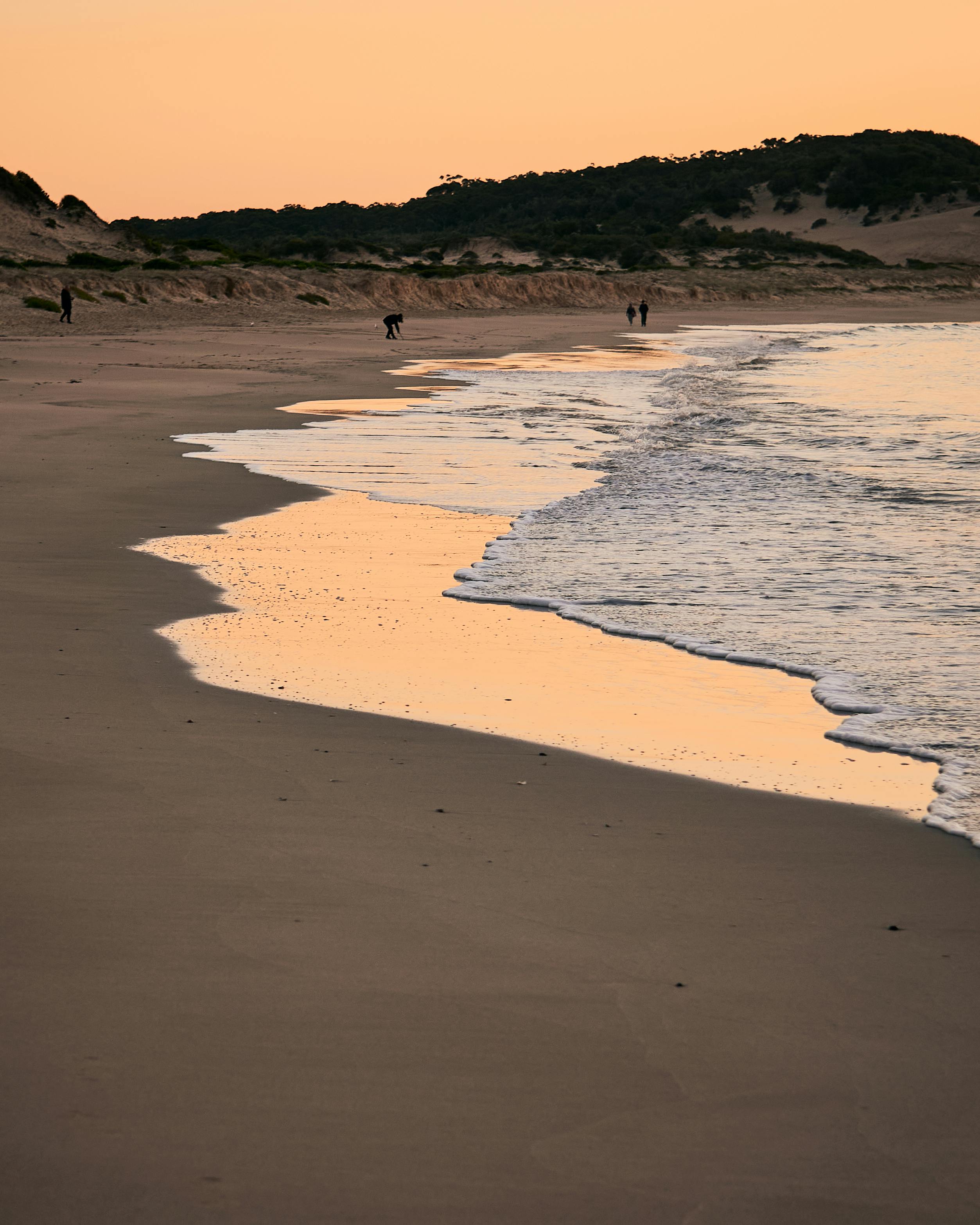 Painting Of A Seashore · Free Stock Photo