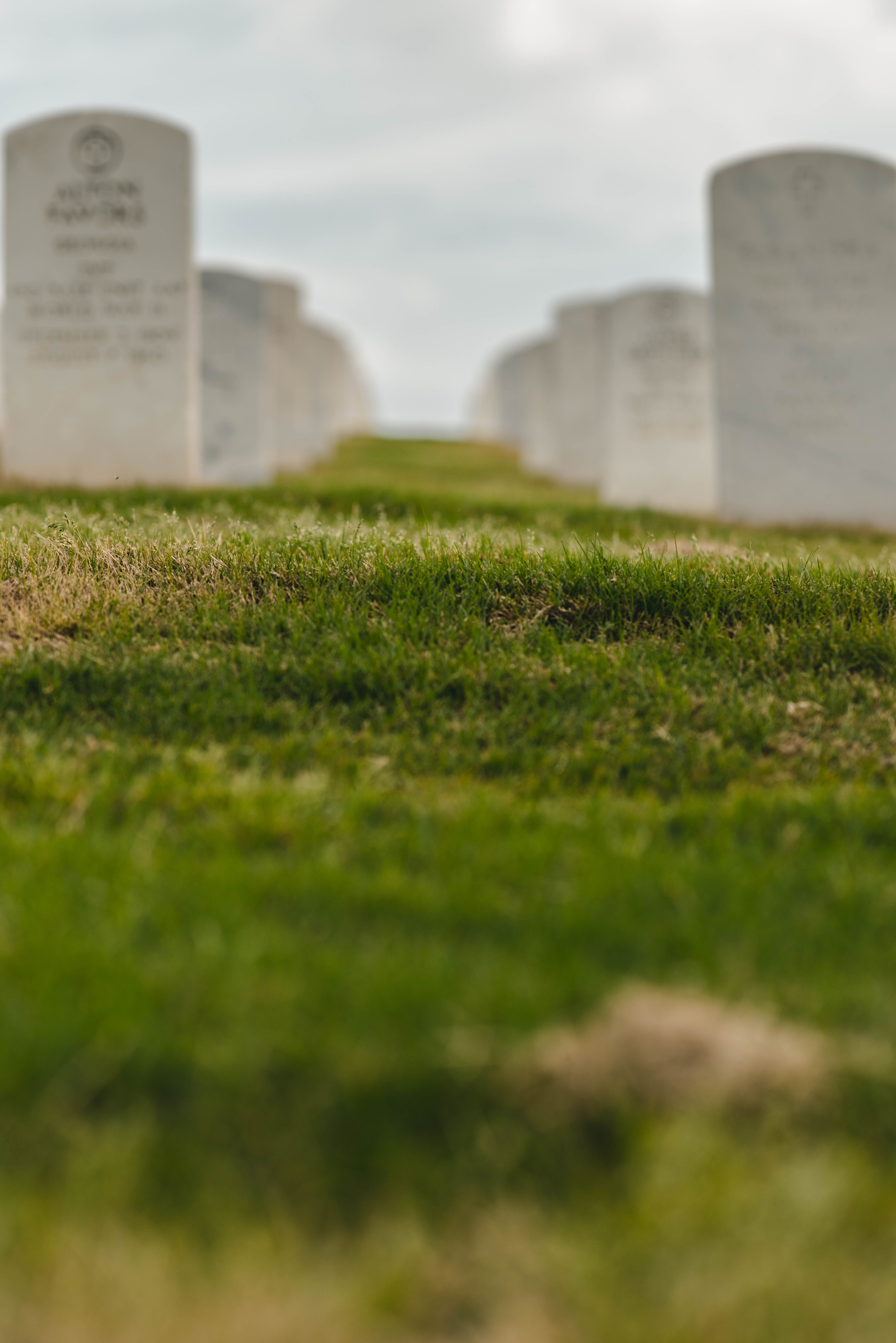 A Green Grass on Cemetery · Free Stock Photo