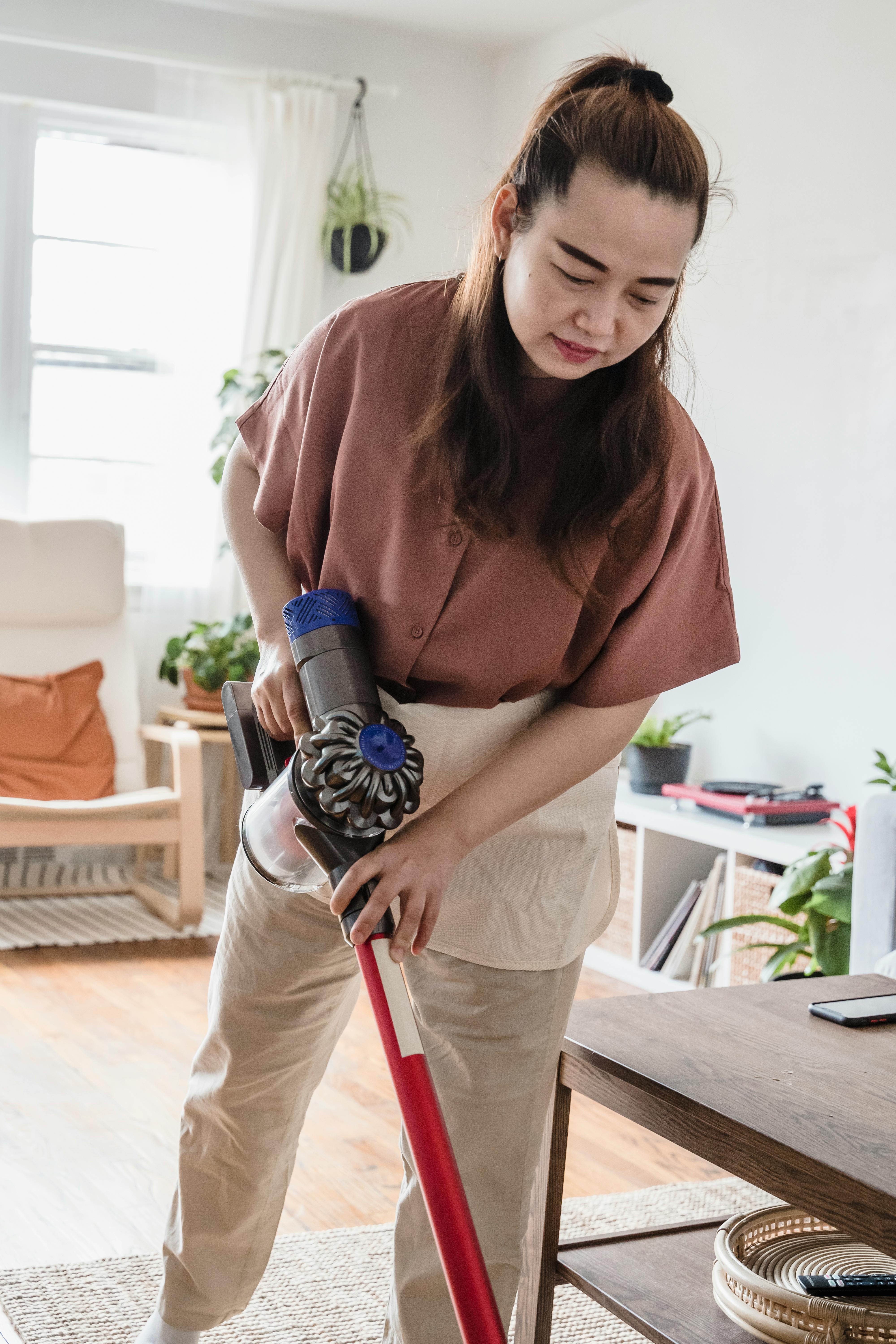 Woman Cleaning the House · Free Stock Photo