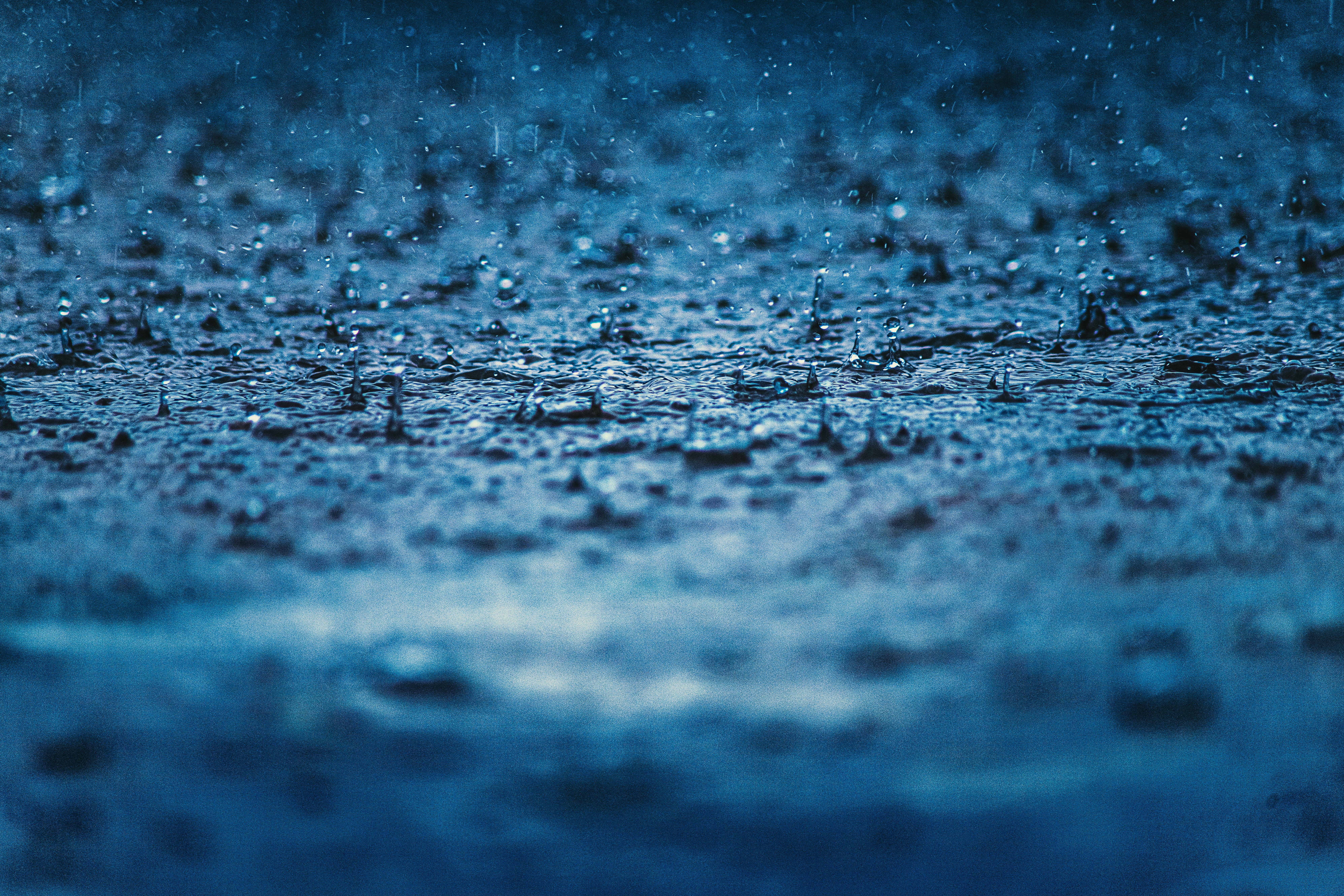 Macro Photography of Water Dew · Free Stock Photo