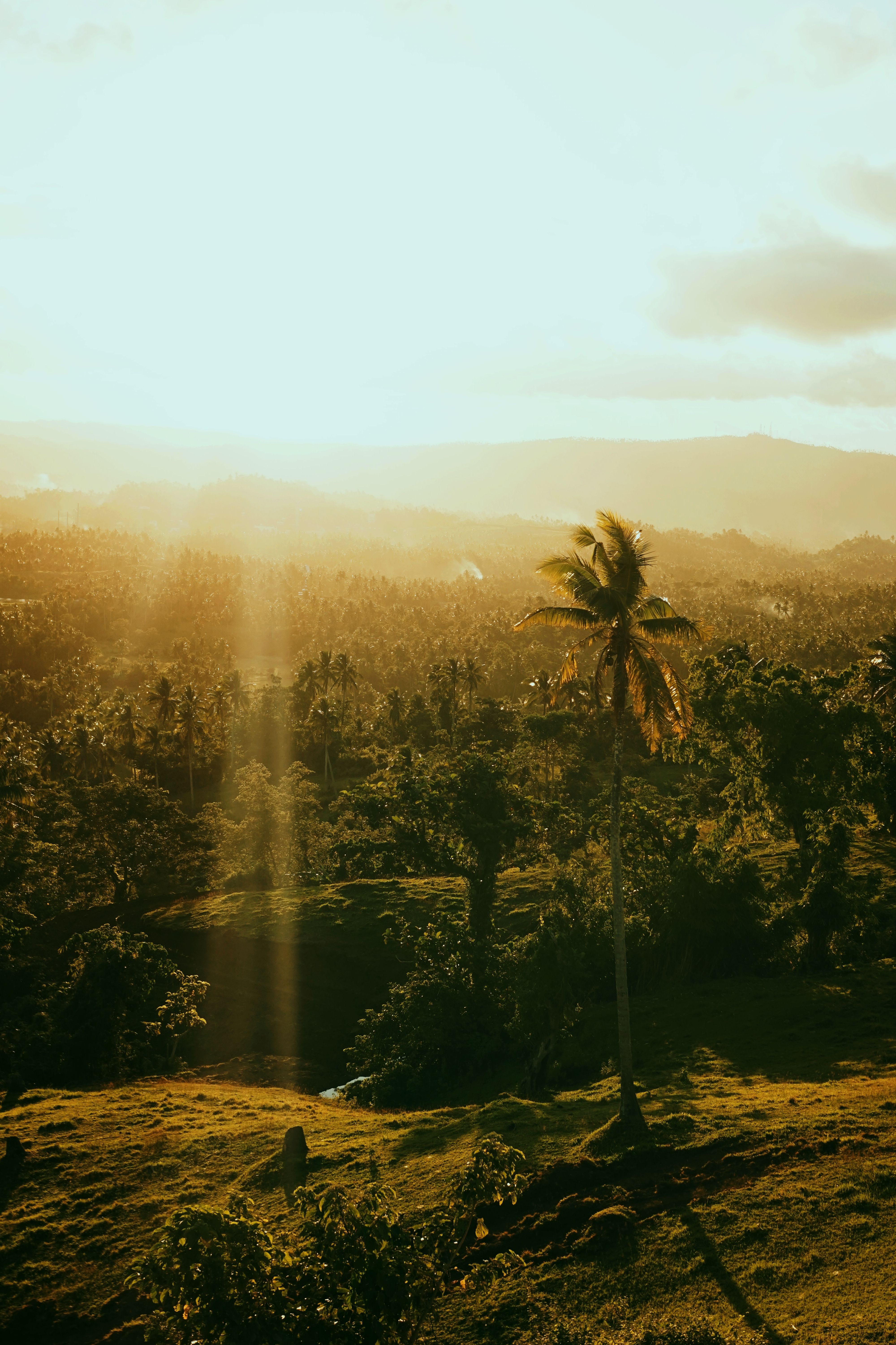Brown Mountain During Sunset · Free Stock Photo