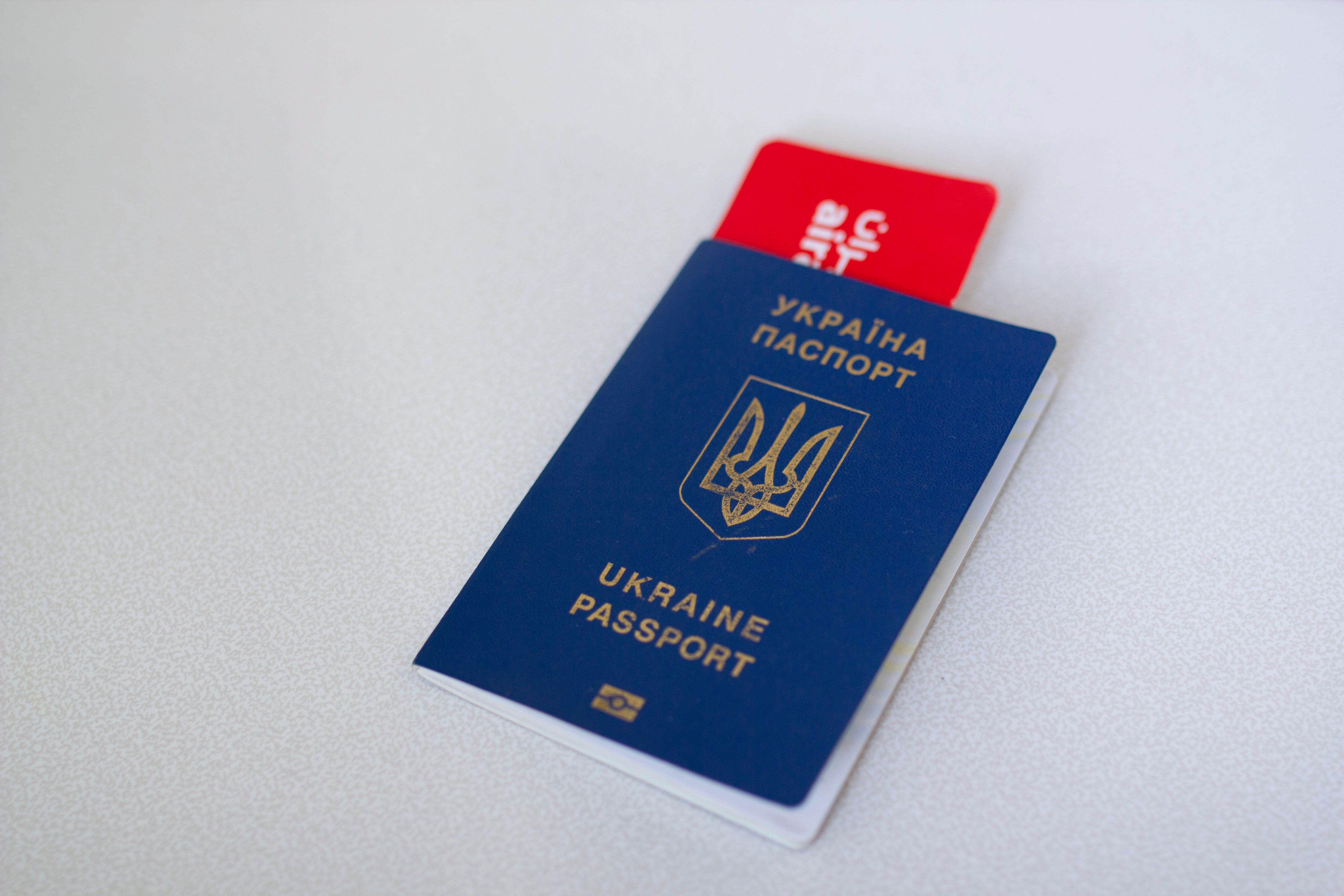 Person Holding an Opened Passport · Free Stock Photo