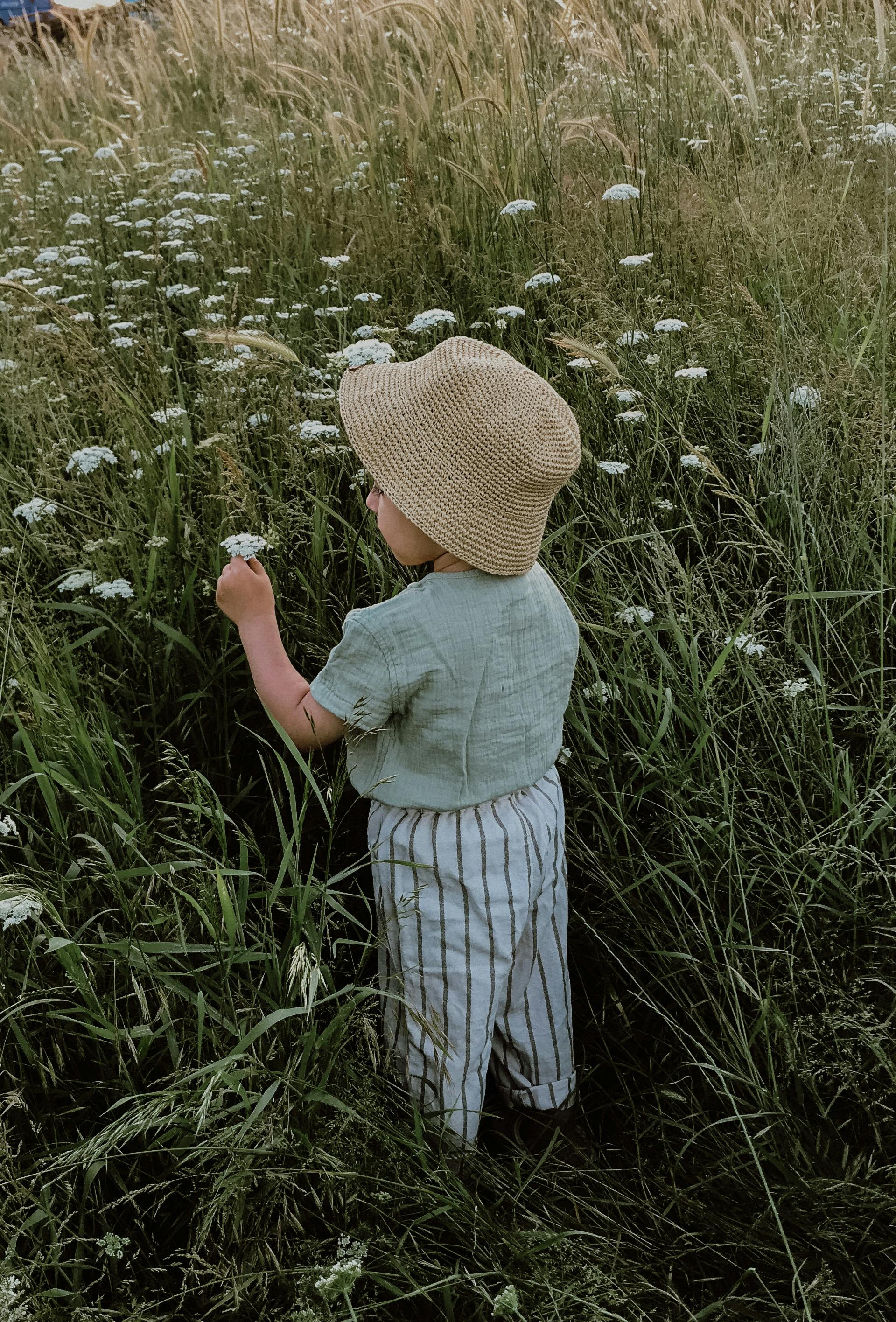 Little boy with flower in field · Free Stock Photo