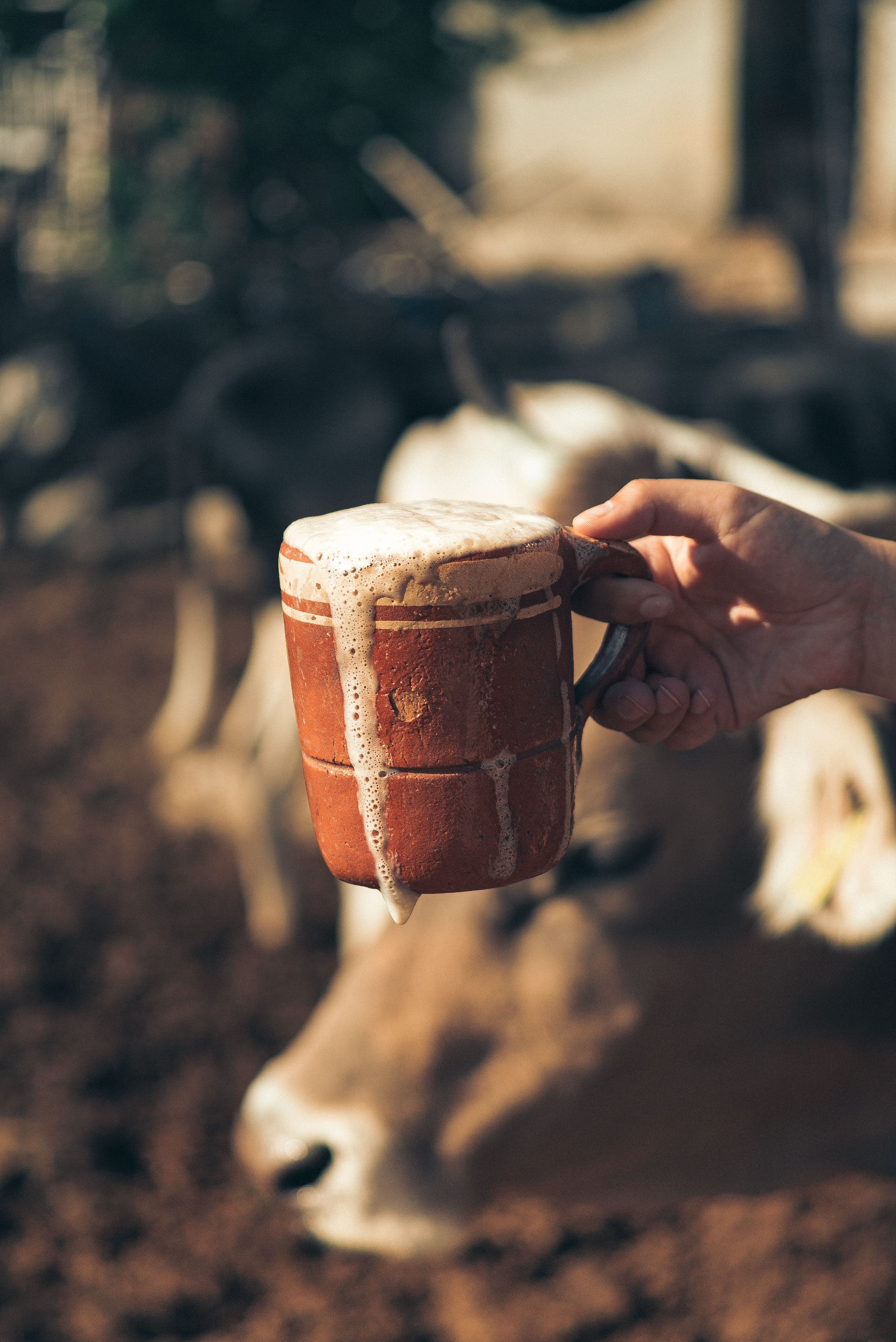 Overflowing Milk Photos, Download The BEST Free Overflowing Milk Stock ...