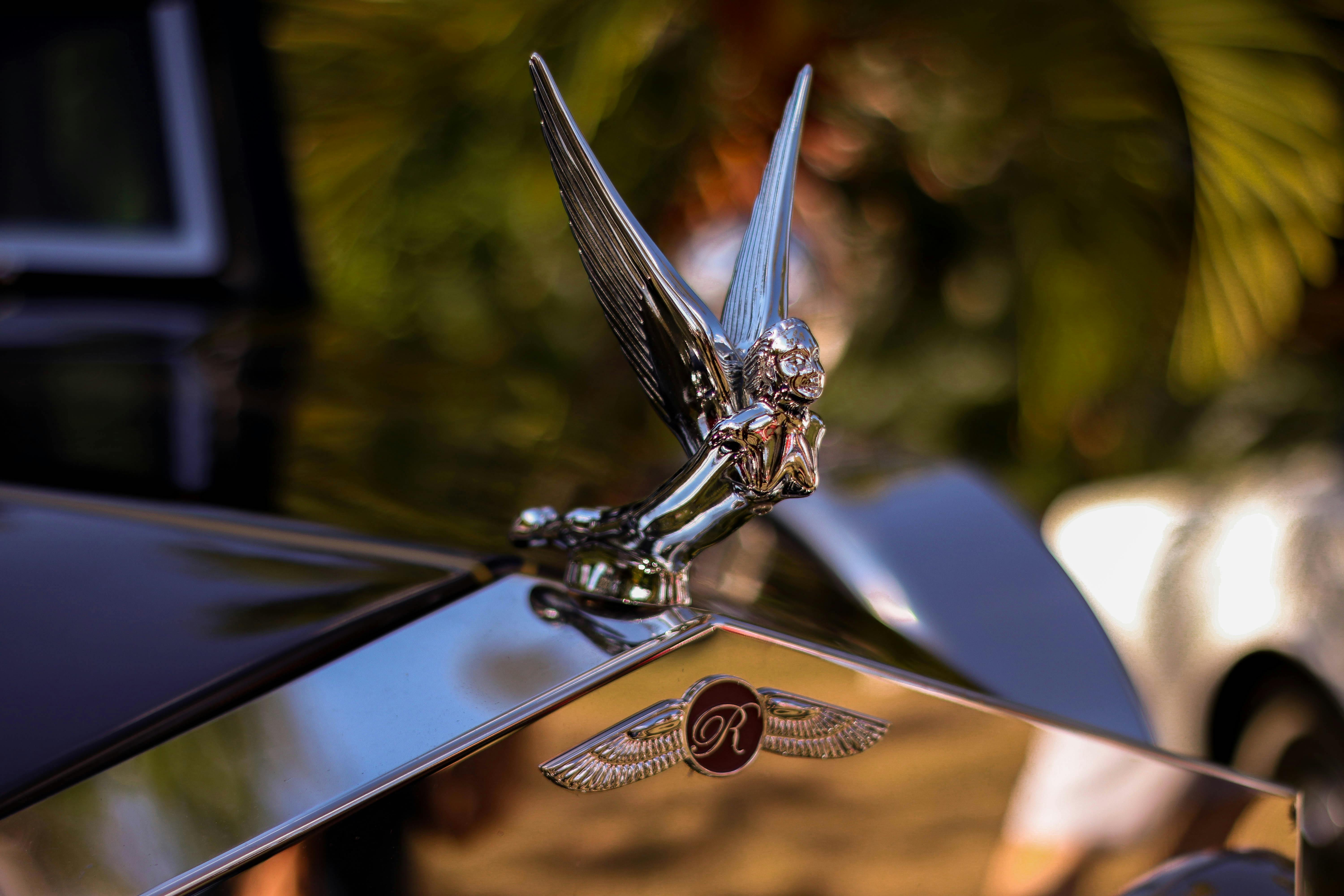 Angel Auto Photos, Download The BEST Free Angel Auto Stock Photos & HD ...