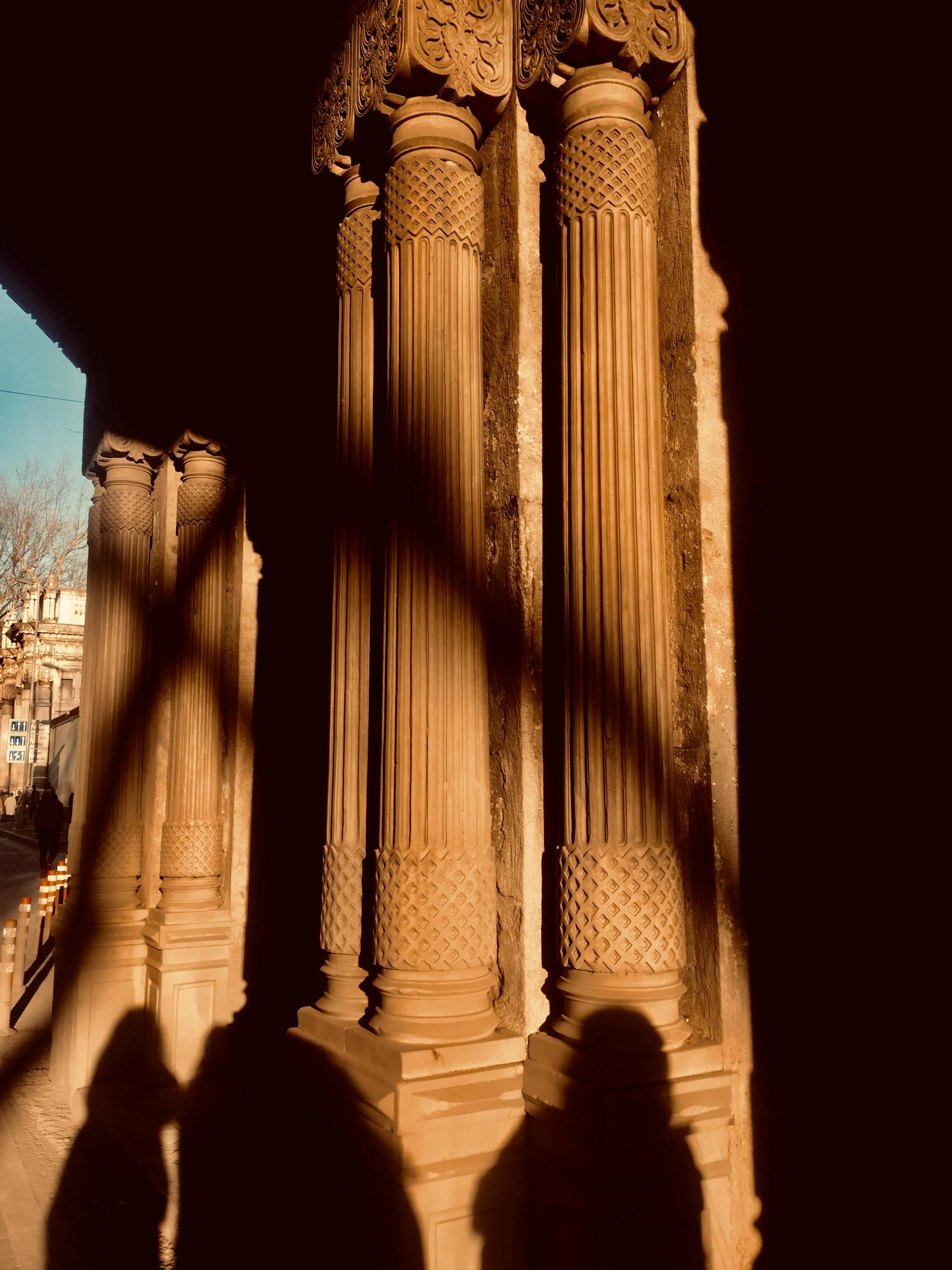 Stripe Shadows on the Lemons · Free Stock Photo