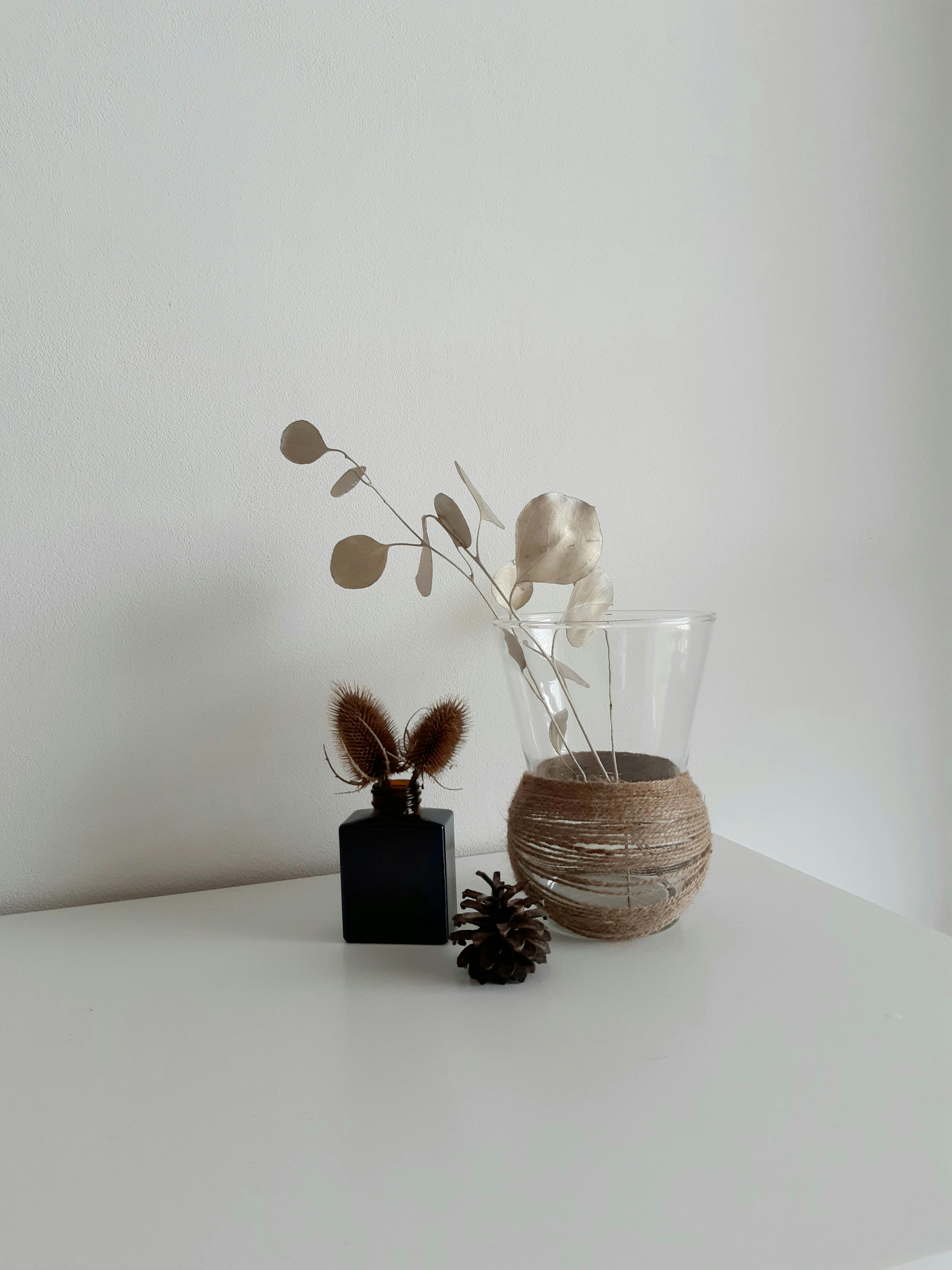 Twine Wrap Photos, Download The BEST Free Twine Wrap Stock Photos & HD ...