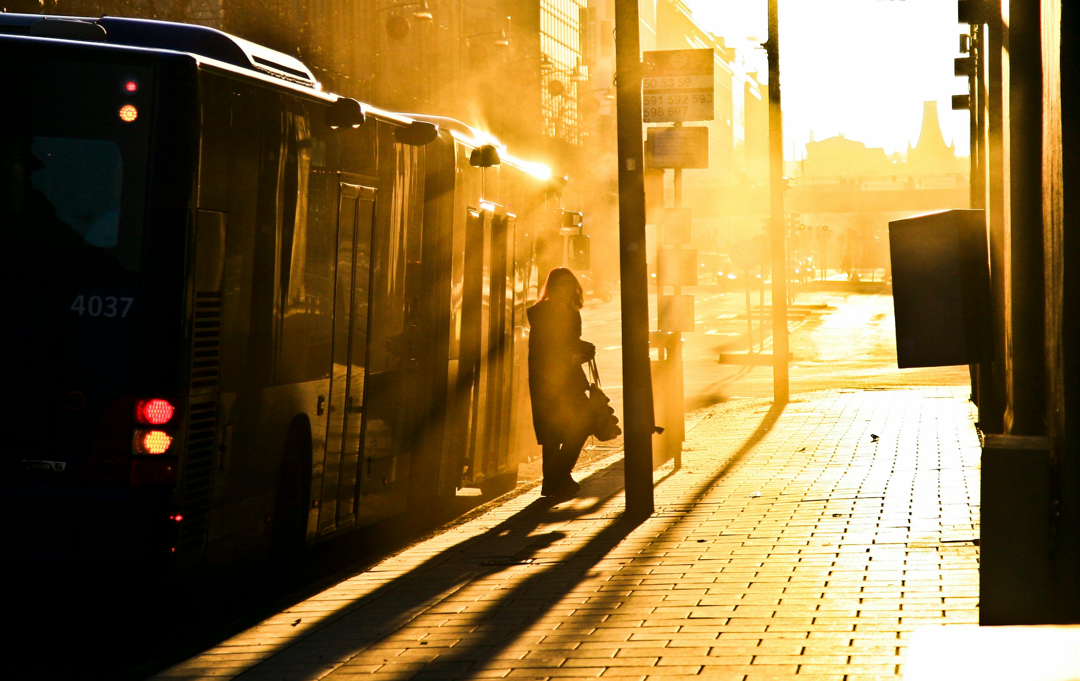 Sunlight over Bus Stop at Sunset · Free Stock Photo