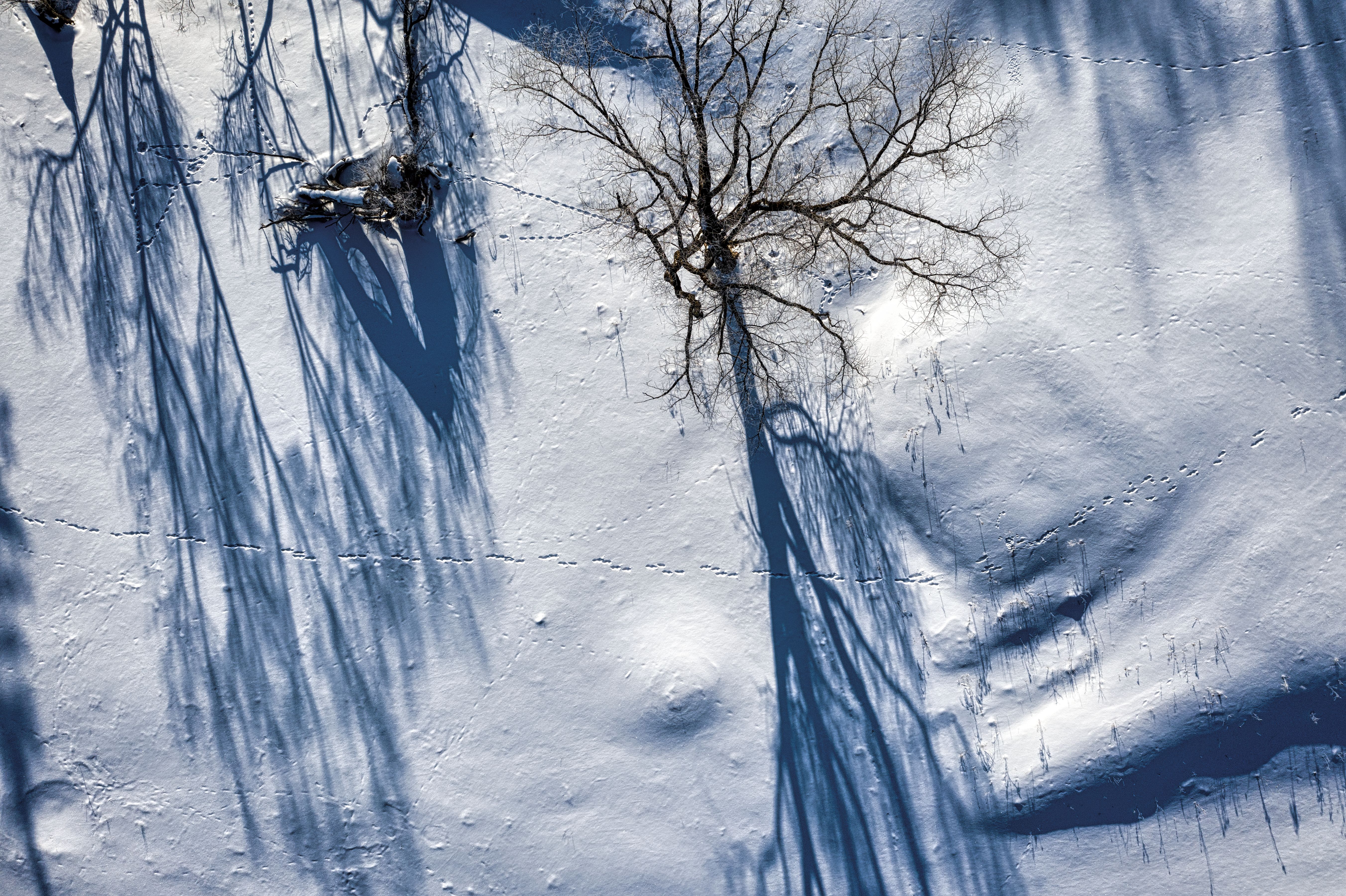 An Aerial Shot of a Snow Covered Field · Free Stock Photo