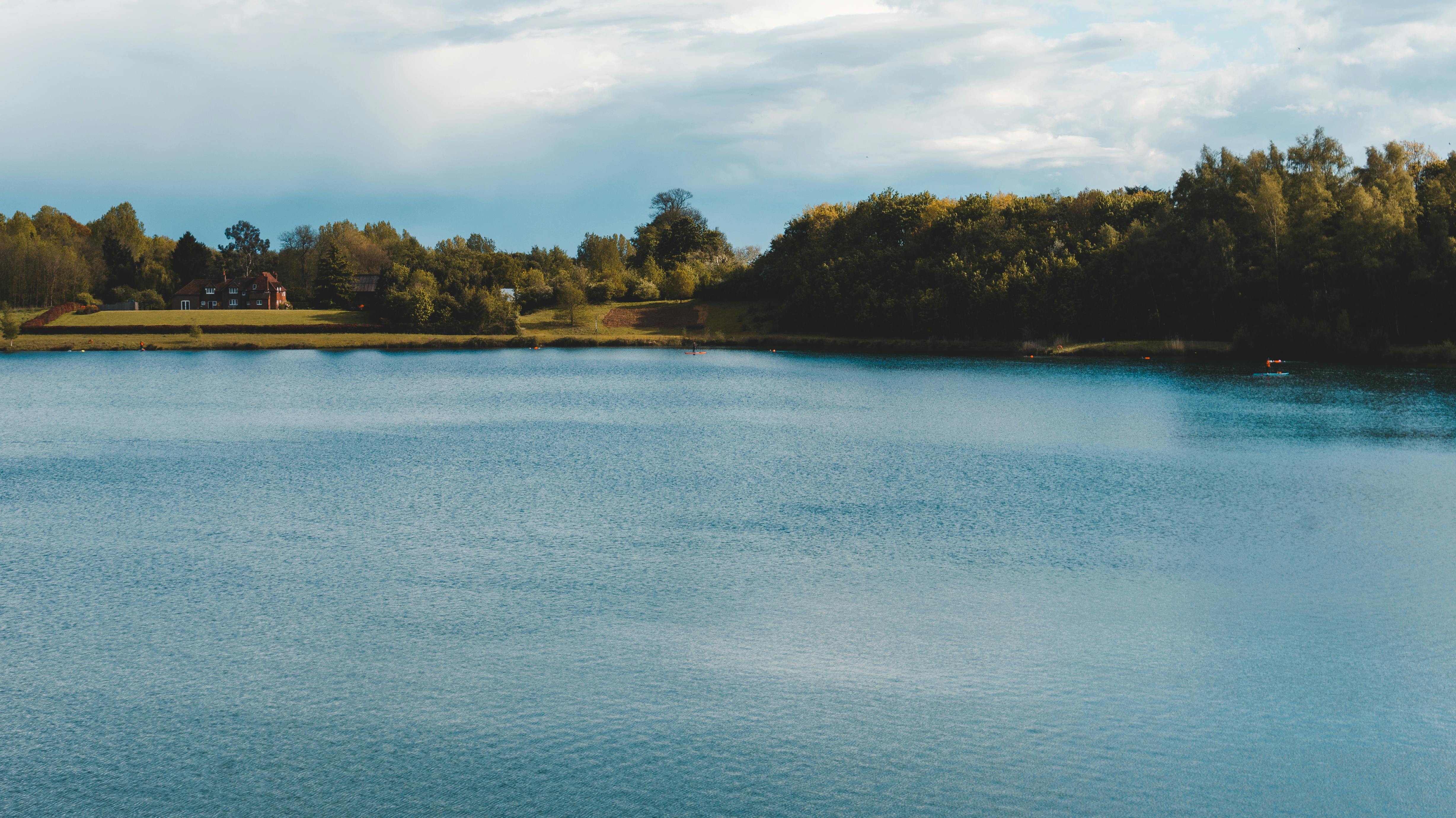 The Placid Surface of a Lake · Free Stock Photo