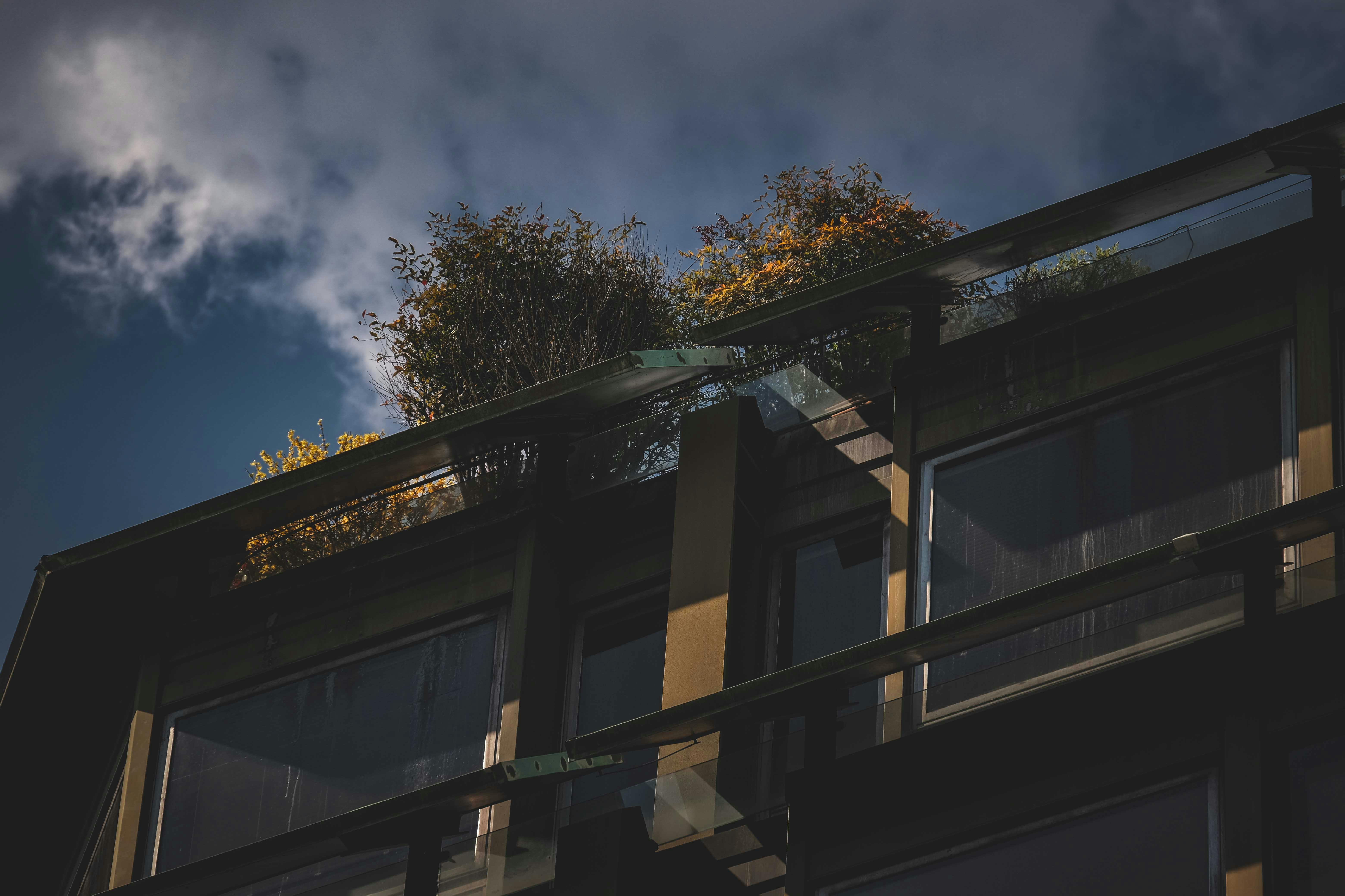 Low Angle Shot of Building · Free Stock Photo