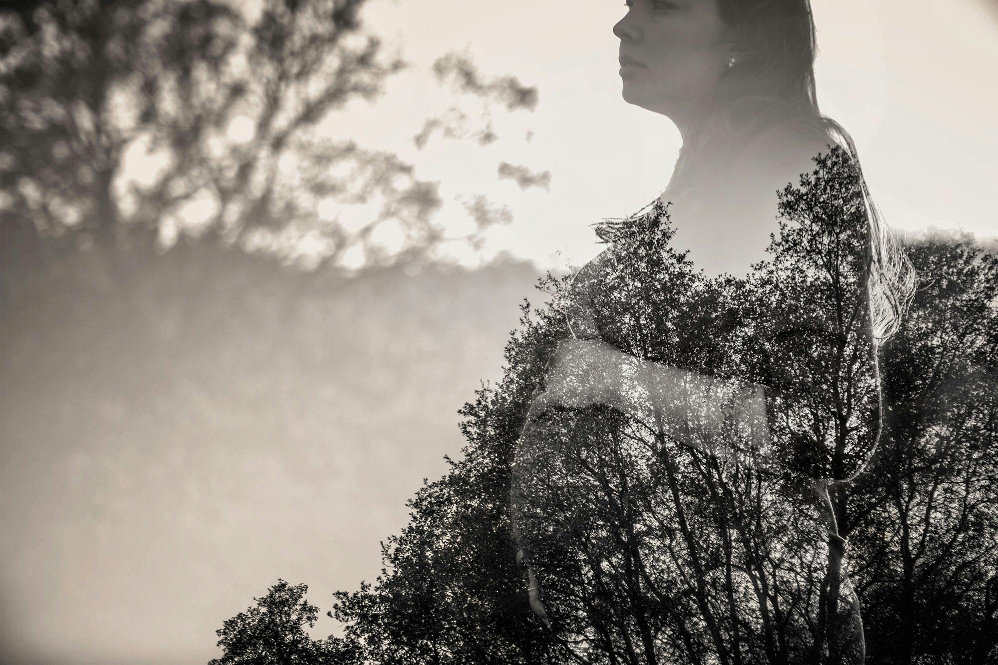 Free stock photo of double exposure, skies, trees