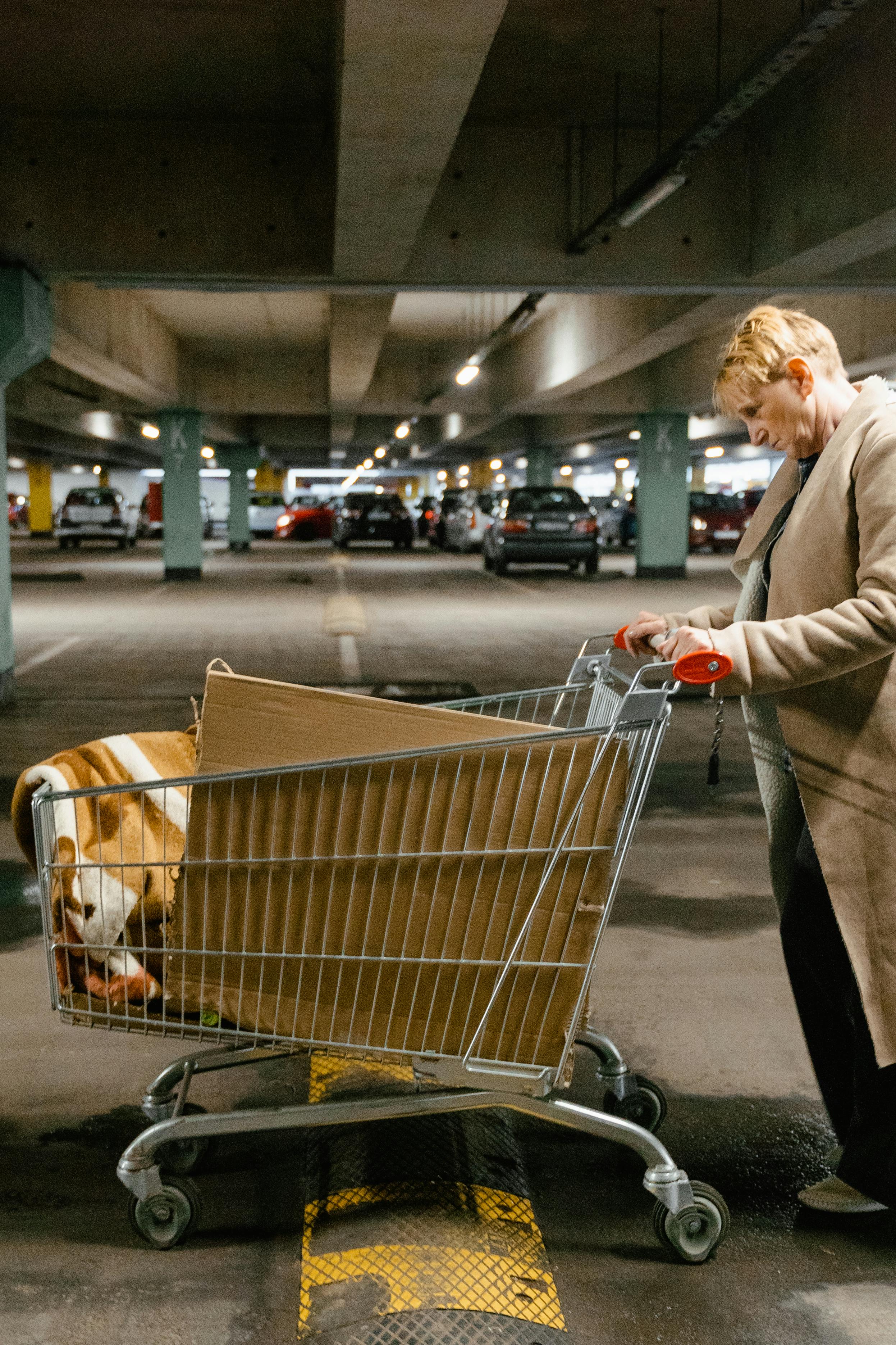 Garage Shopping Center Photos, Download The BEST Free Garage Shopping ...