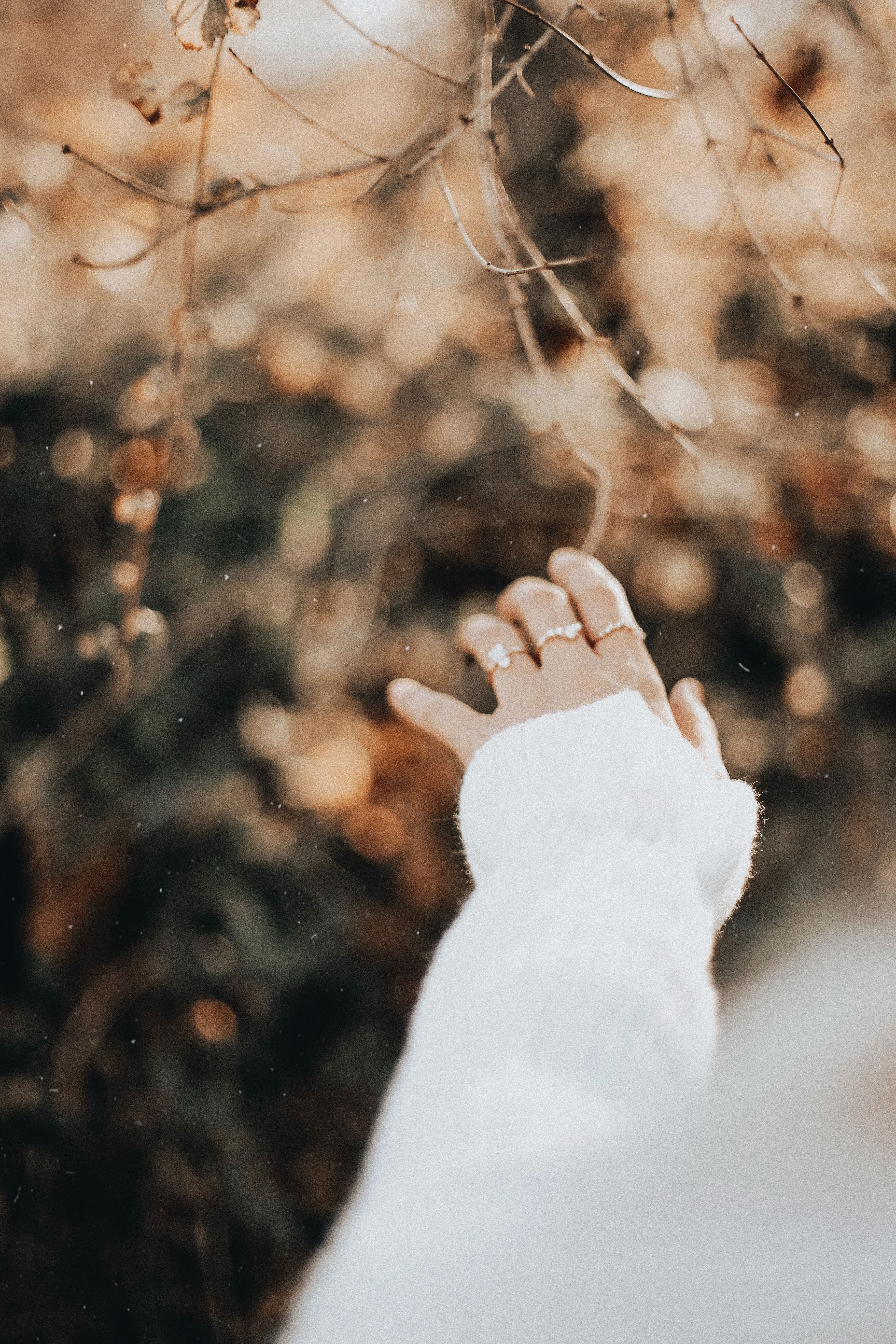 Close-up of Woman Touching a Tree Branch · Free Stock Photo