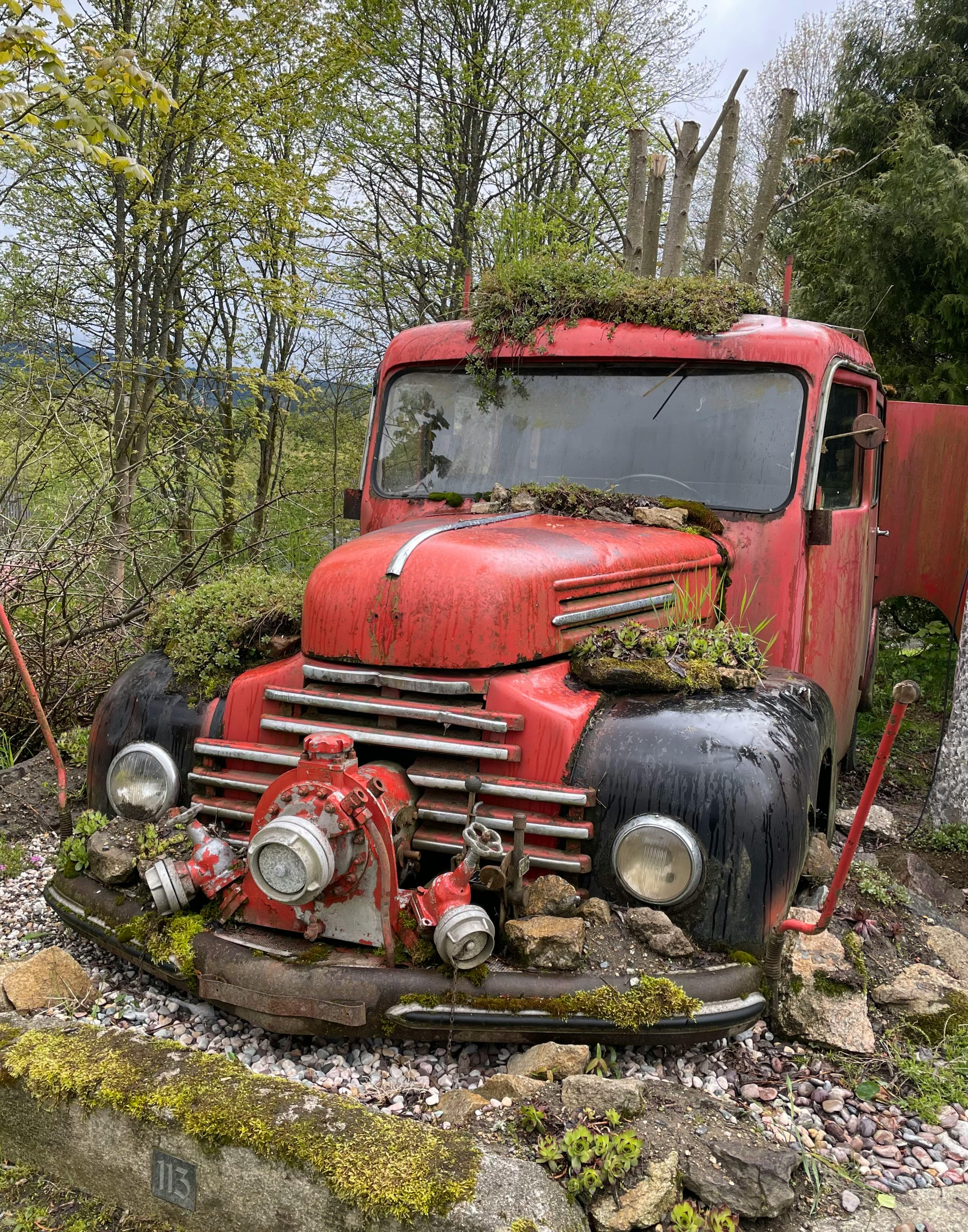 Old Abandoned Firetruck Overgrown with Moss · Free Stock Photo