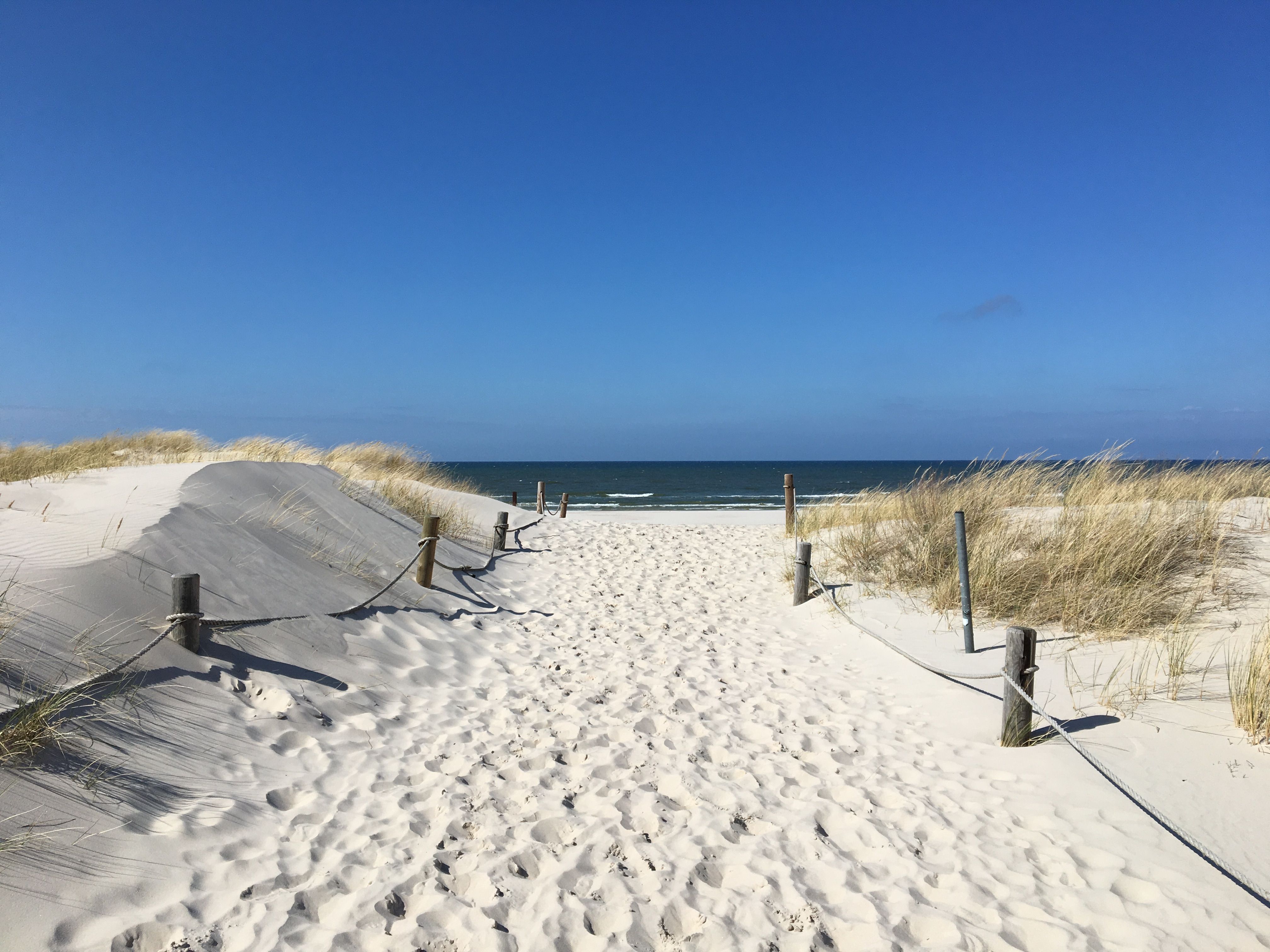 A Beach with a Beautiful Horizon · Free Stock Photo