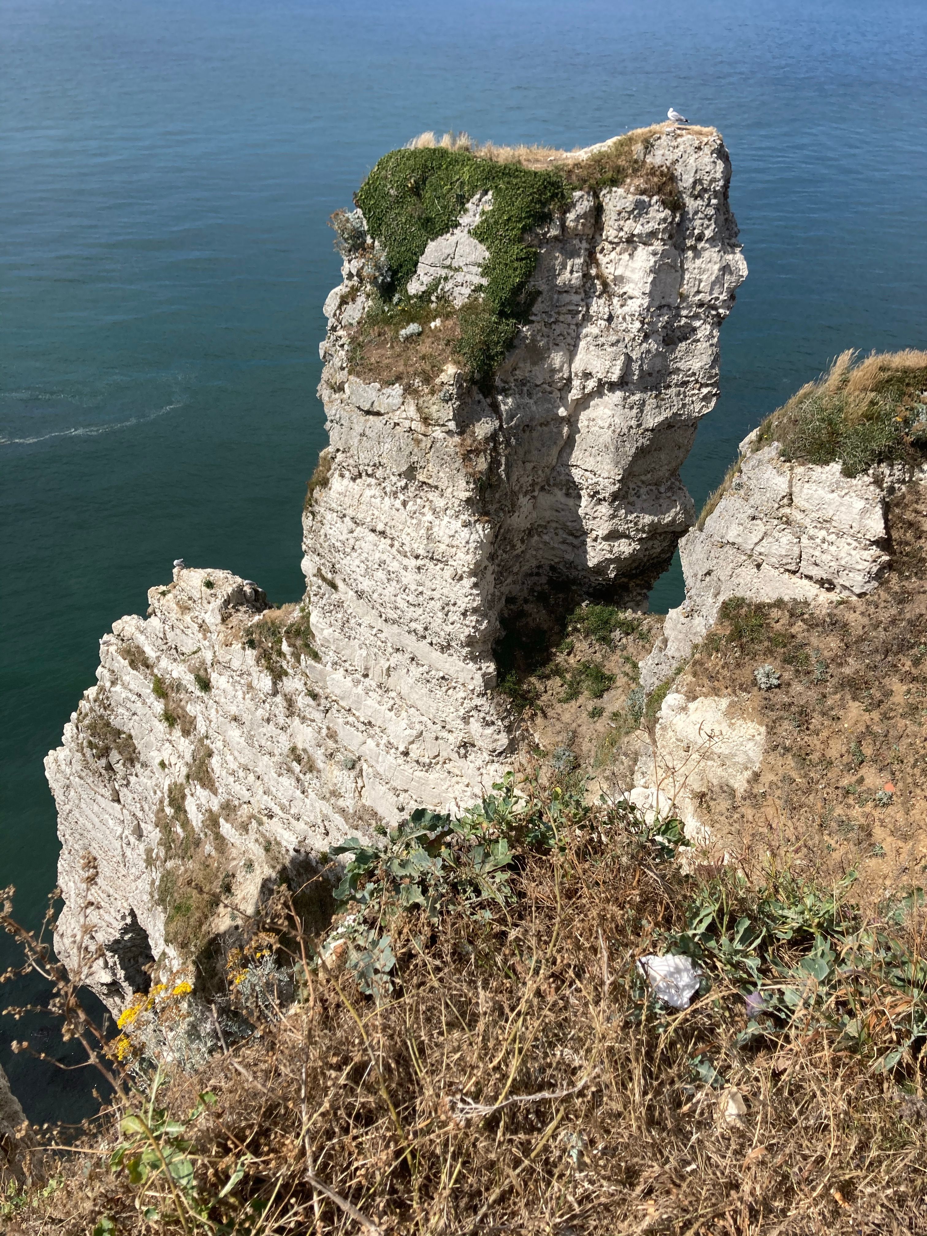 Tall Rock Formation near the Ocean · Free Stock Photo