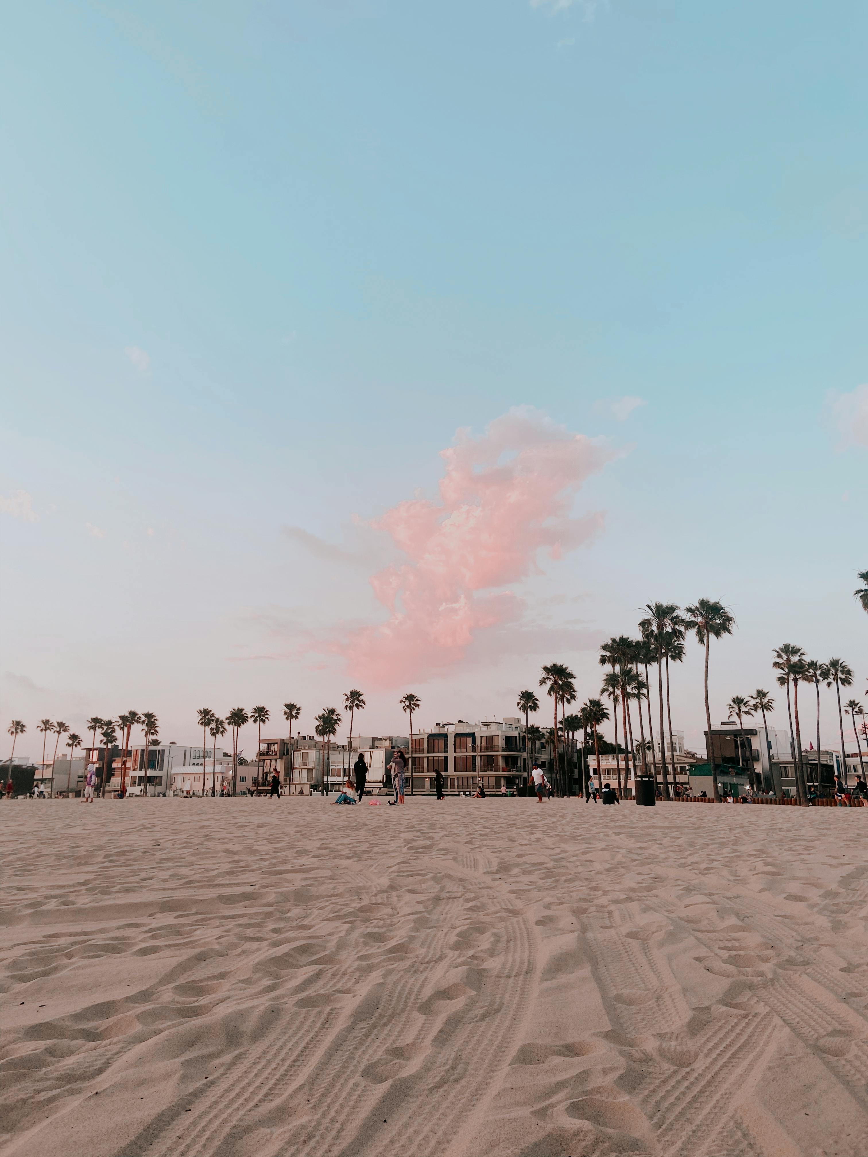 Silhouettes of Oalm Trees by Sunset · Free Stock Photo