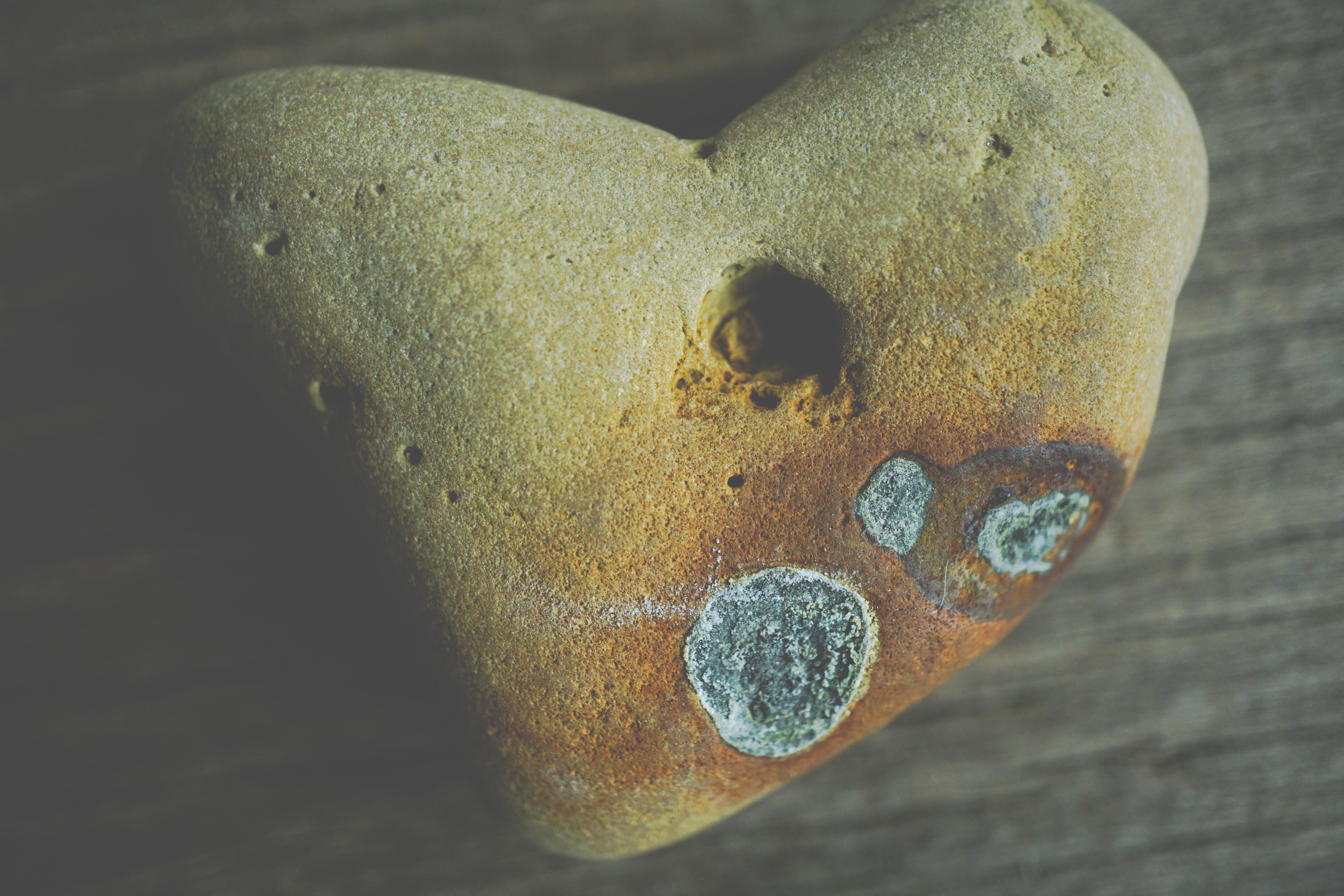 Beige Rock on Brown Wooden Surface · Free Stock Photo