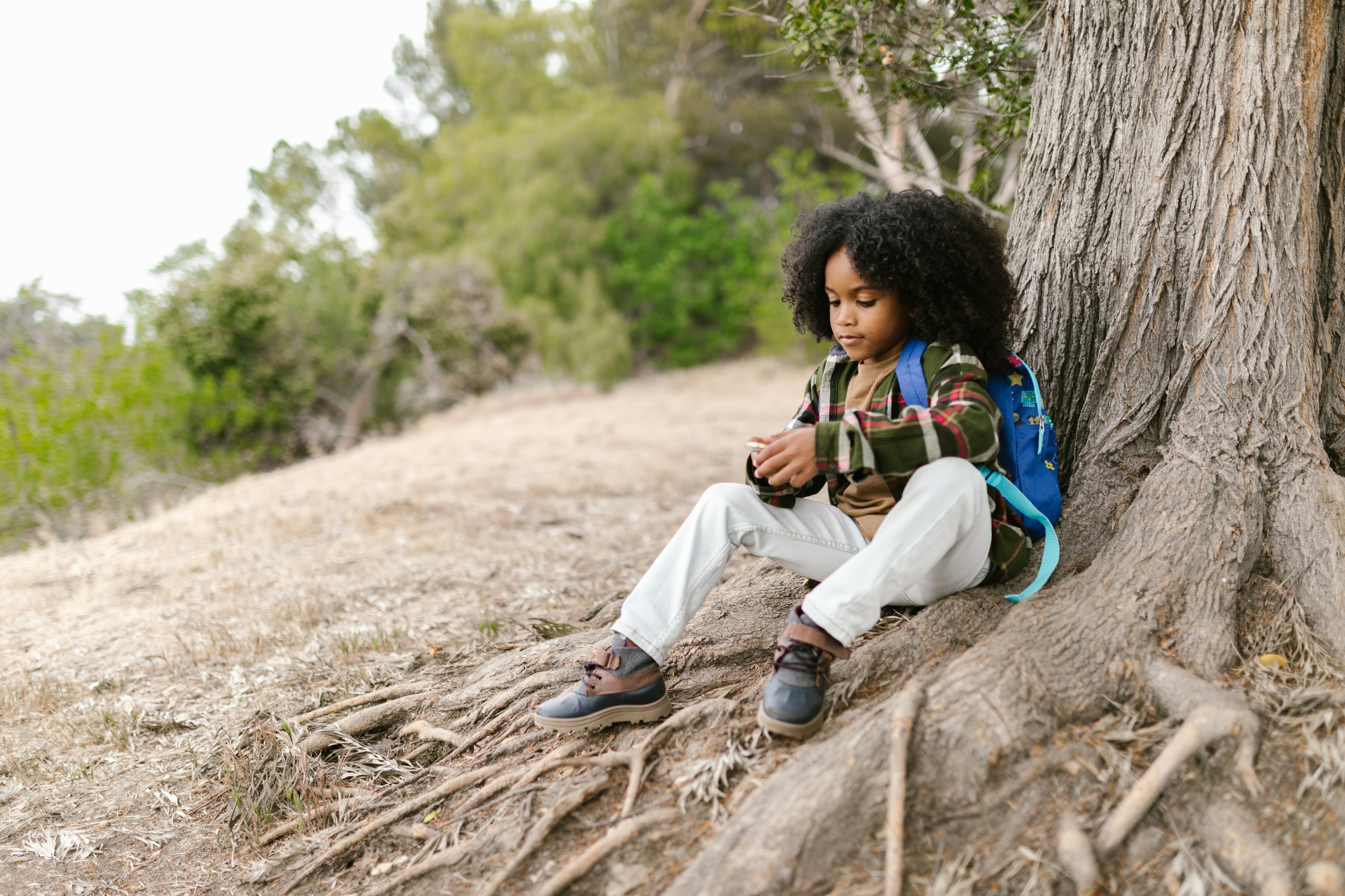 A Boy with a Back Pack Sitting on Tree Roots · Free Stock Photo