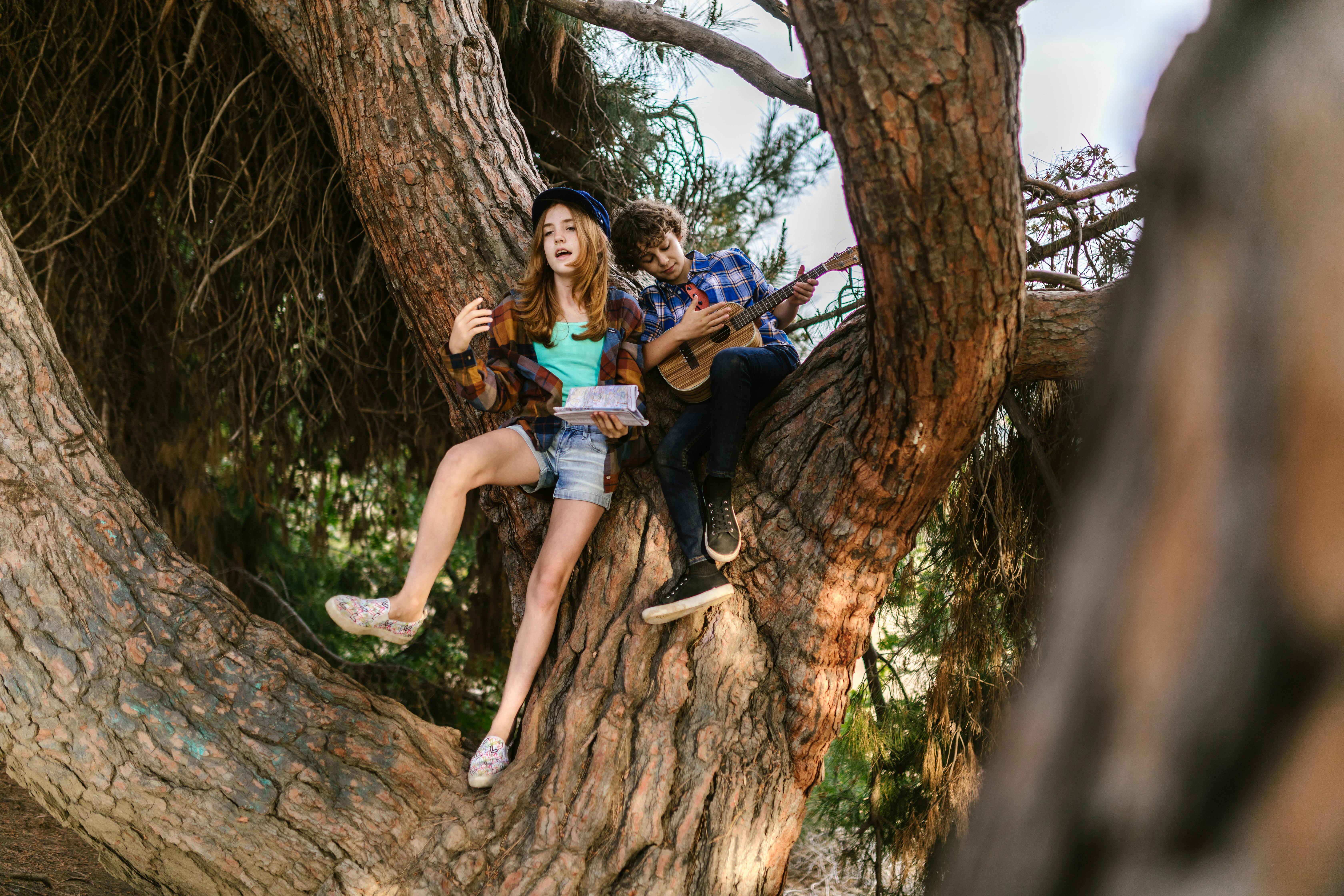 Two Teens Sitting on a Tree · Free Stock Photo