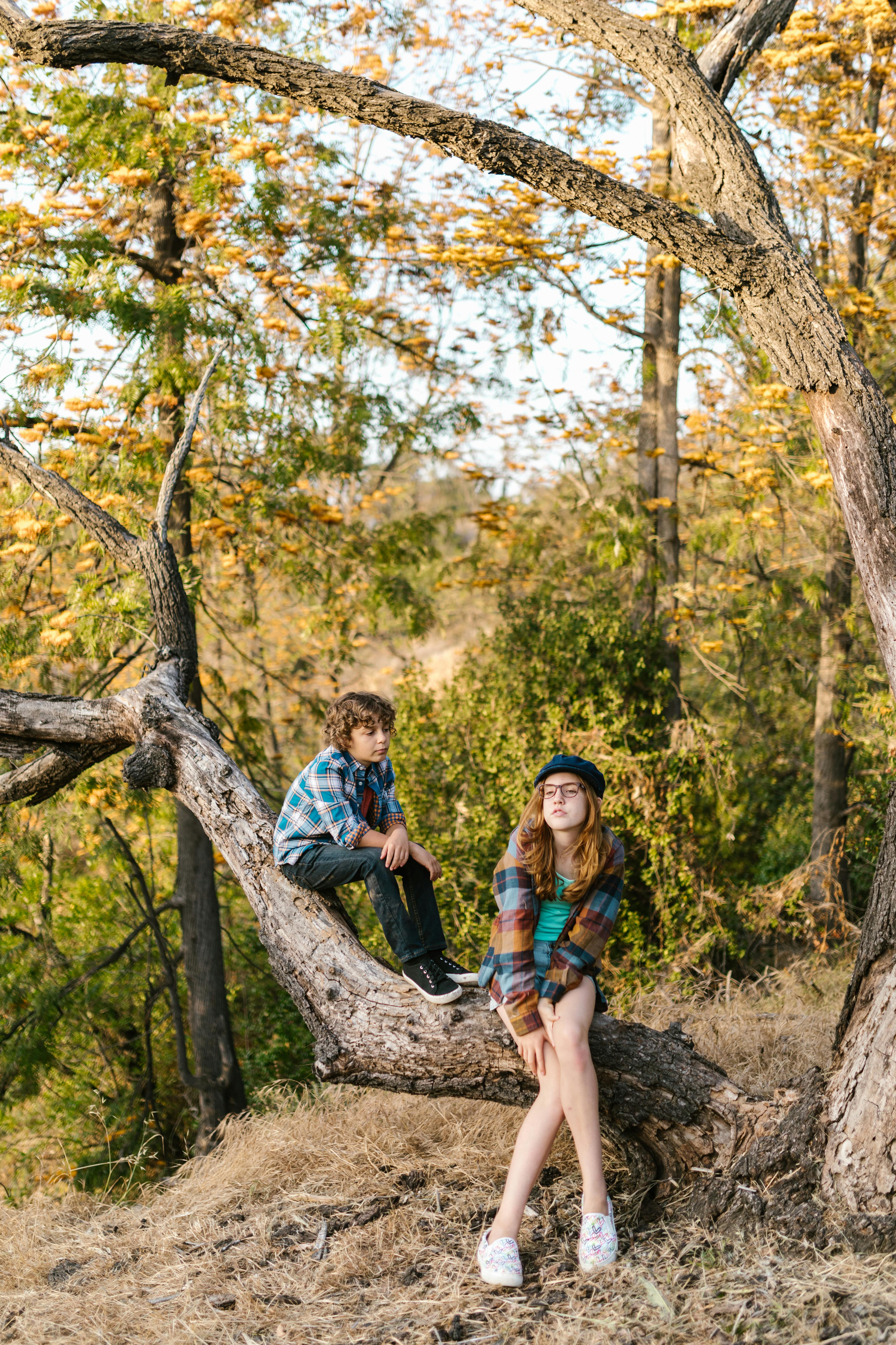 Kids Sitting on a Tree · Free Stock Photo