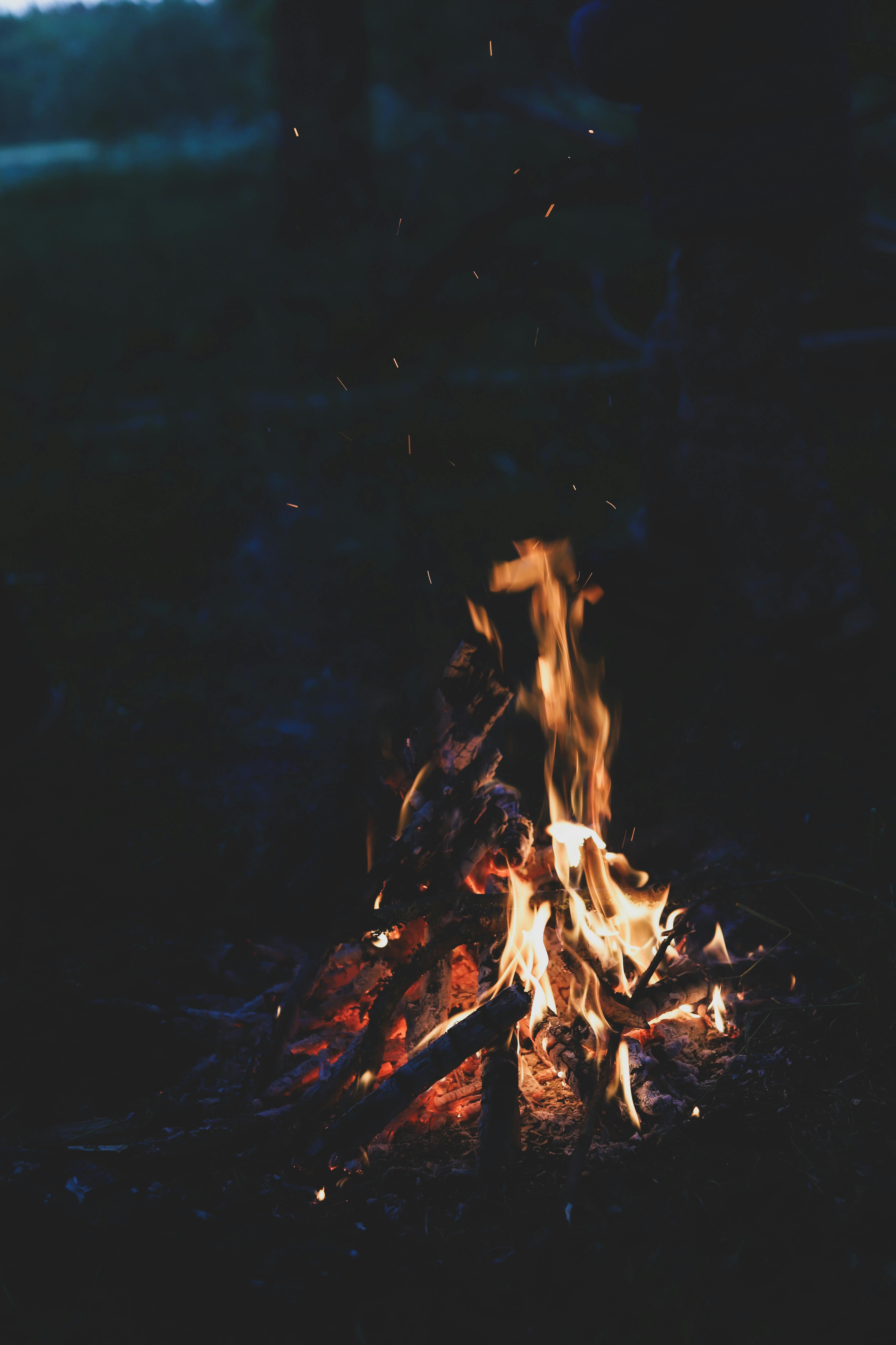Campfire Burning at Night · Free Stock Photo