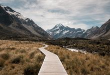 What Makes a Photo Beautiful? Essential Composition Tips to Try